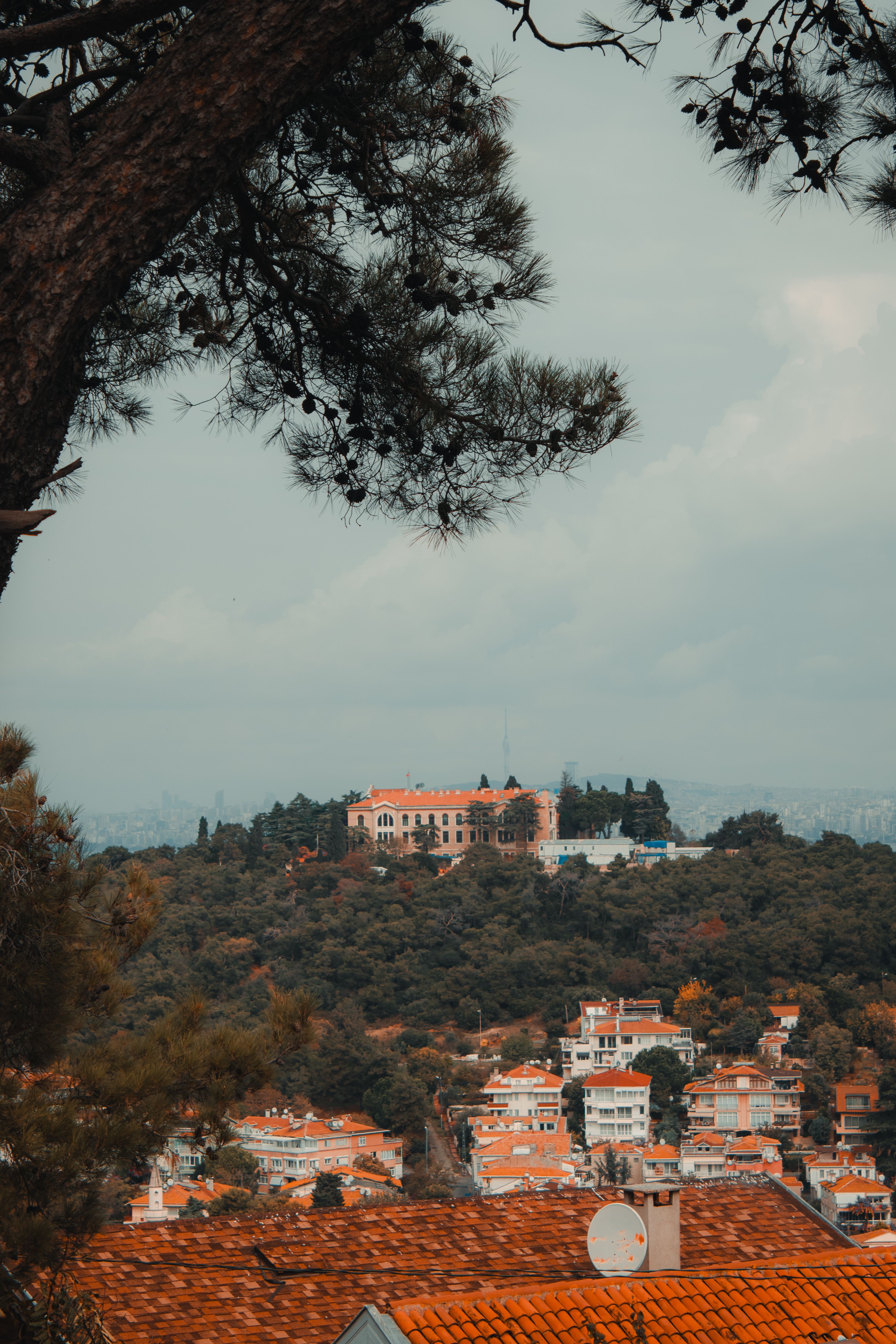 Mount View From Vila Photos, Download The BEST Free Mount View From ...