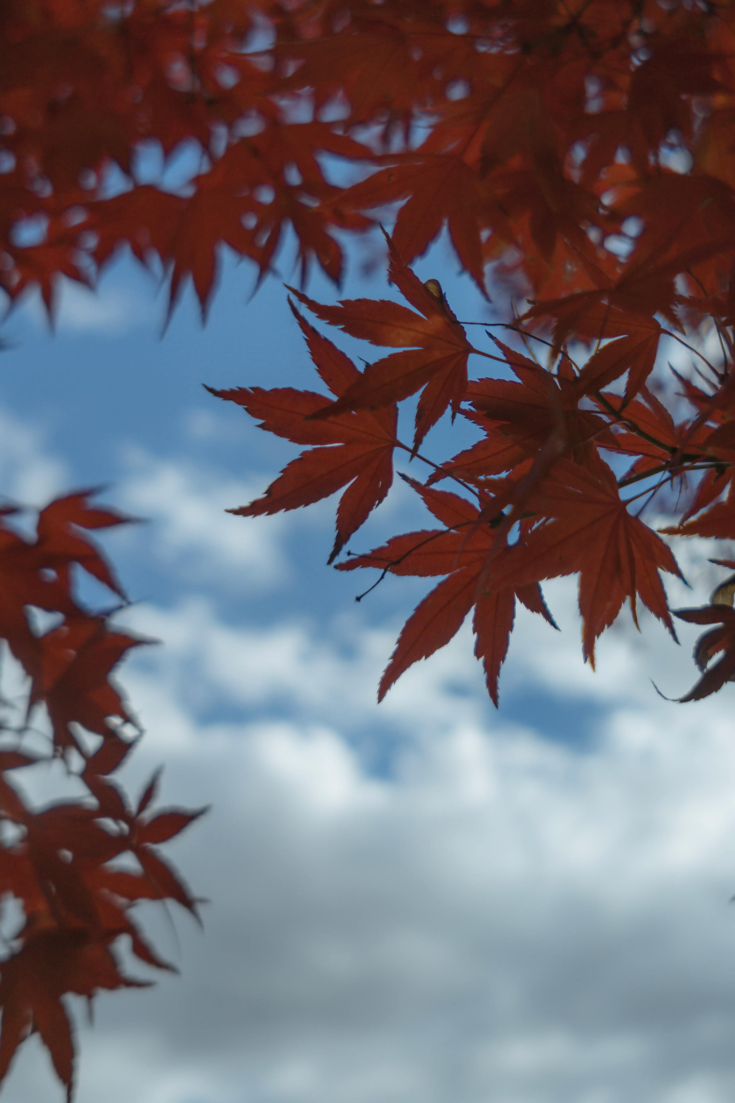 Background Pattern Photos, Download The BEST Free Background Pattern ...