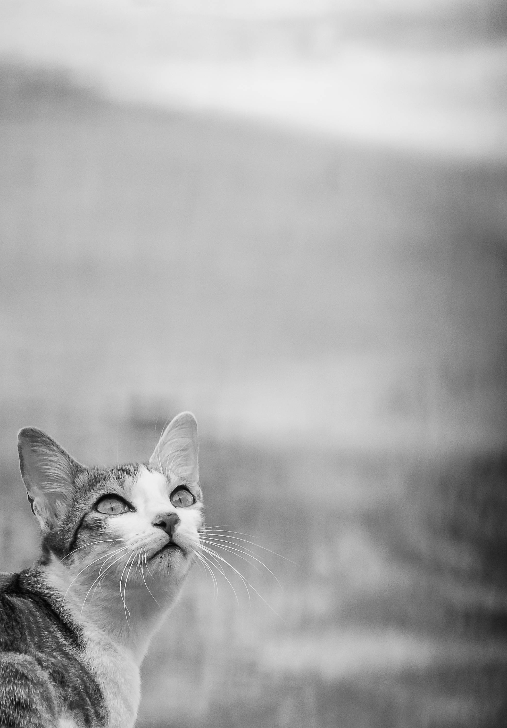 Perception Photos, Download The BEST Free Perception Stock Photos & HD ...