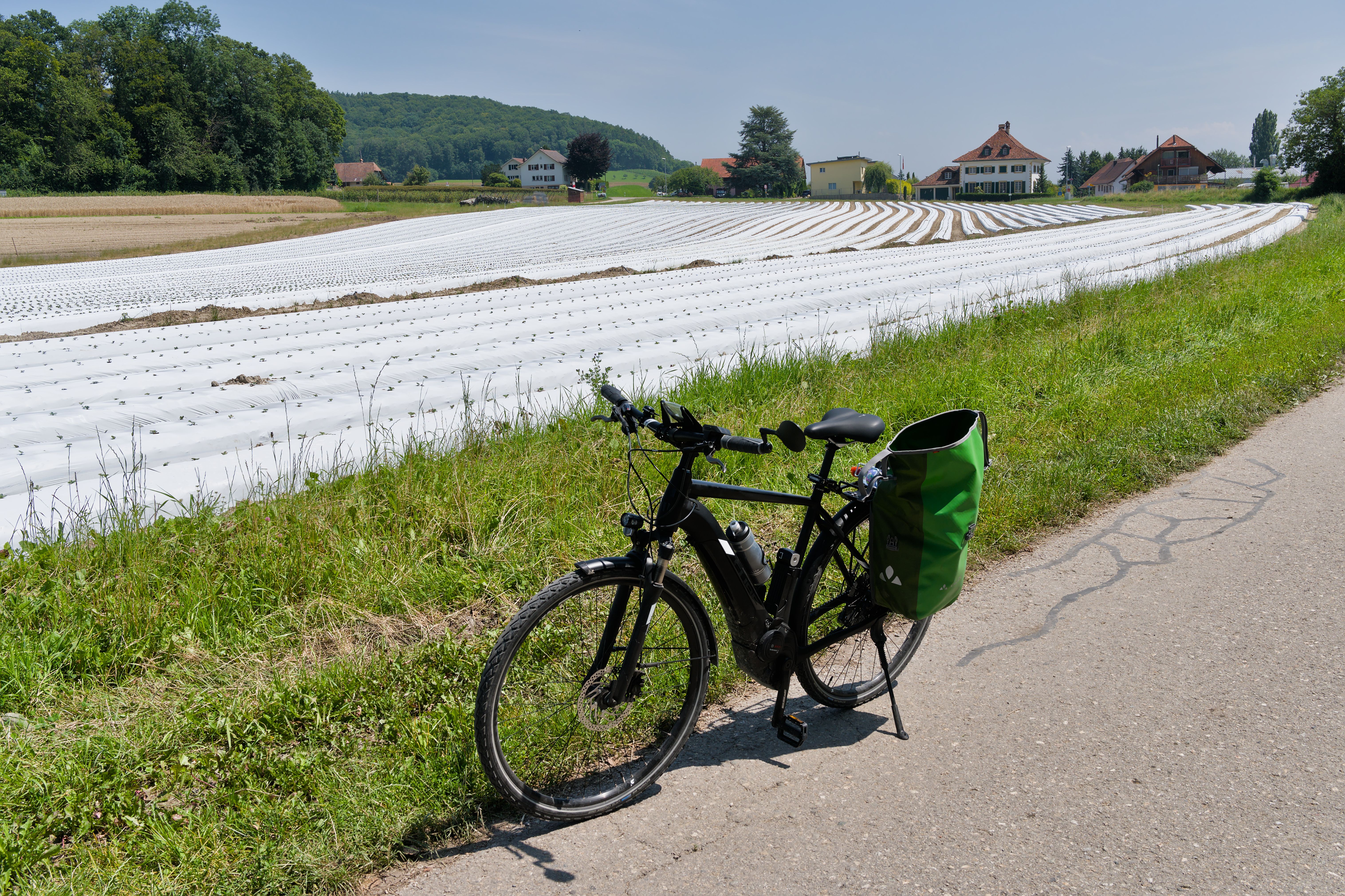 Bicycle on Countryside Path Near Swiss Farmland · Free Stock Photo