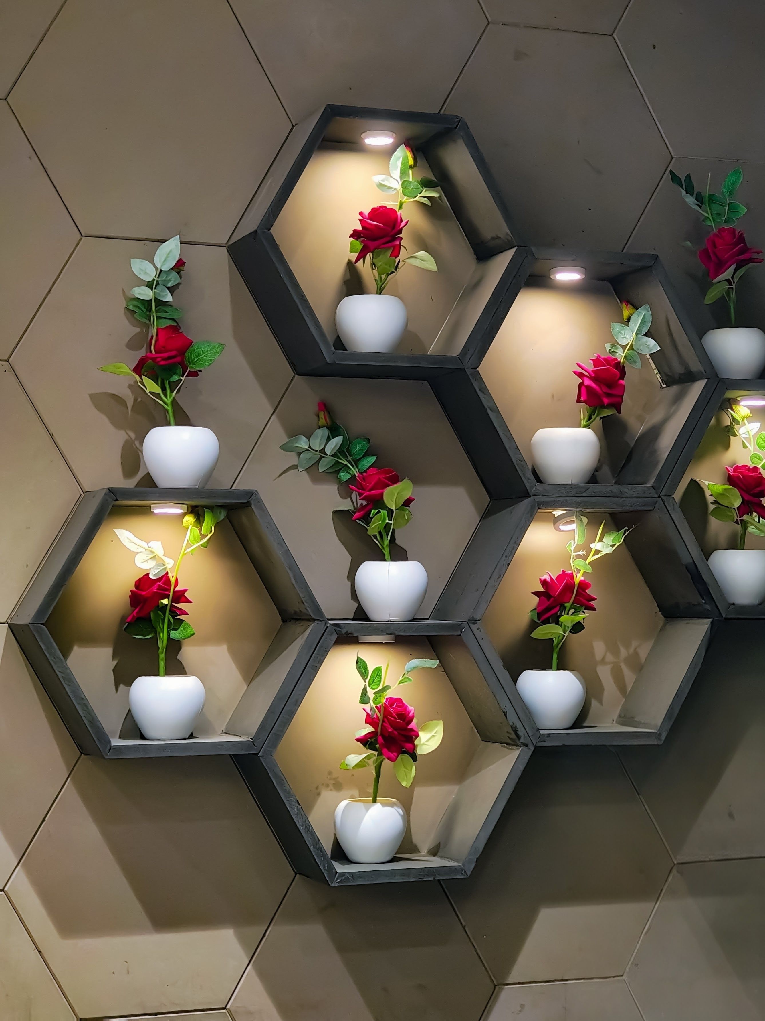 Red Roses in Hexagonal Wall Shelves Display · Free Stock Photo