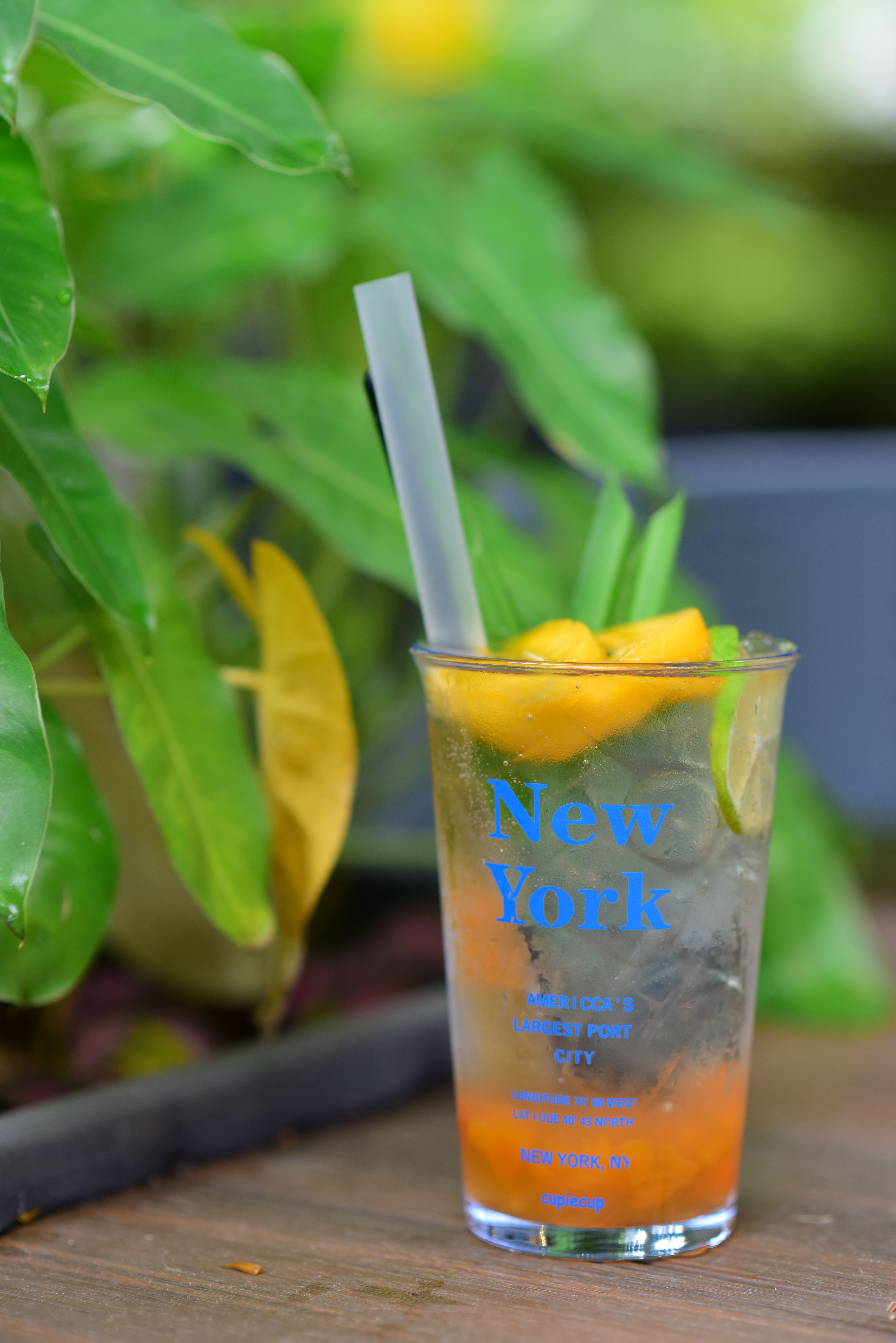 Refreshing Citrus Cocktail in New York Themed Cup · Free Stock Photo