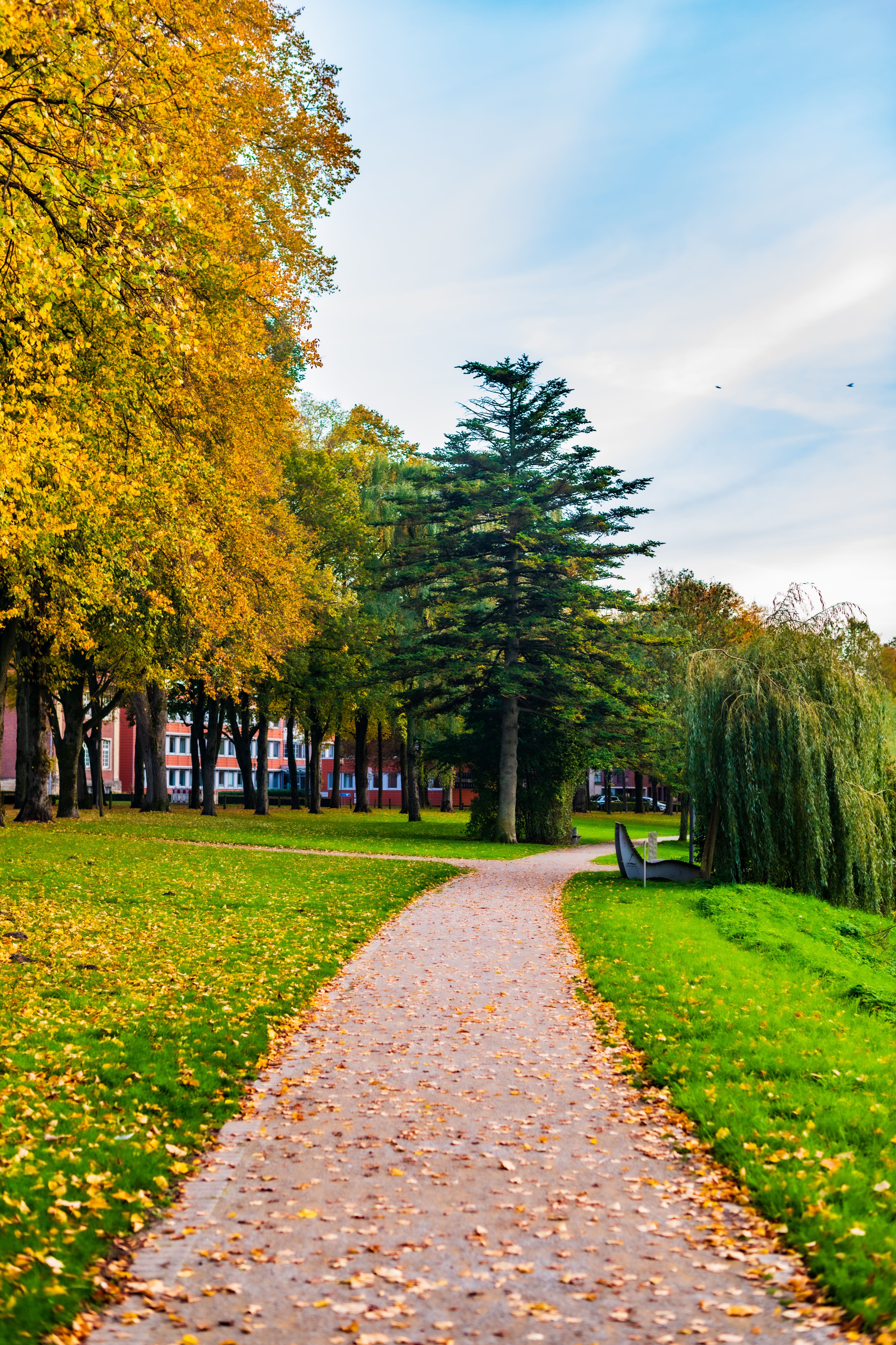 Scenic Autumn Pathway with Vibrant Foliage · Free Stock Photo