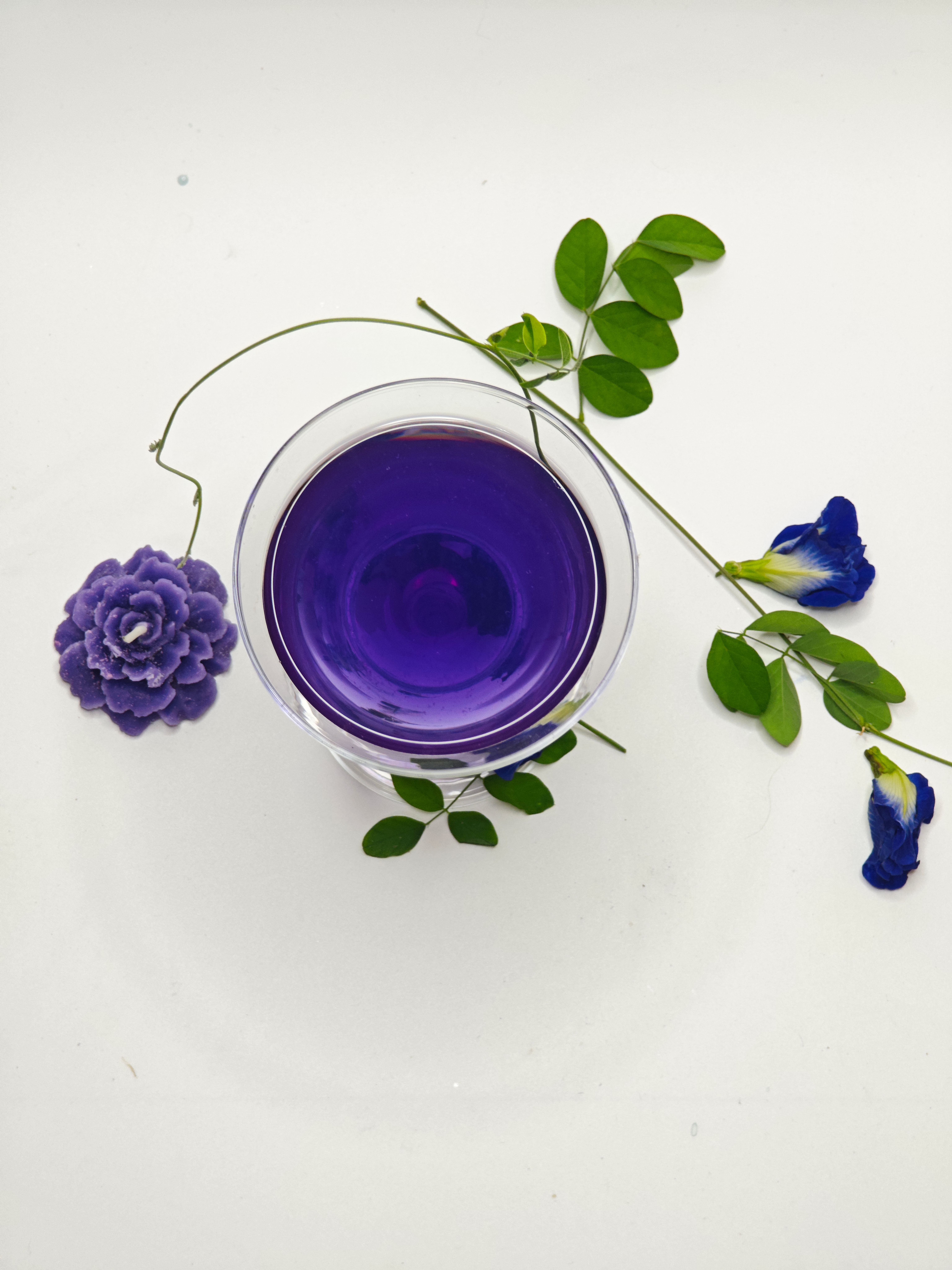 Vibrant Butterfly Pea Flower Tea with Purple Decor · Free Stock Photo