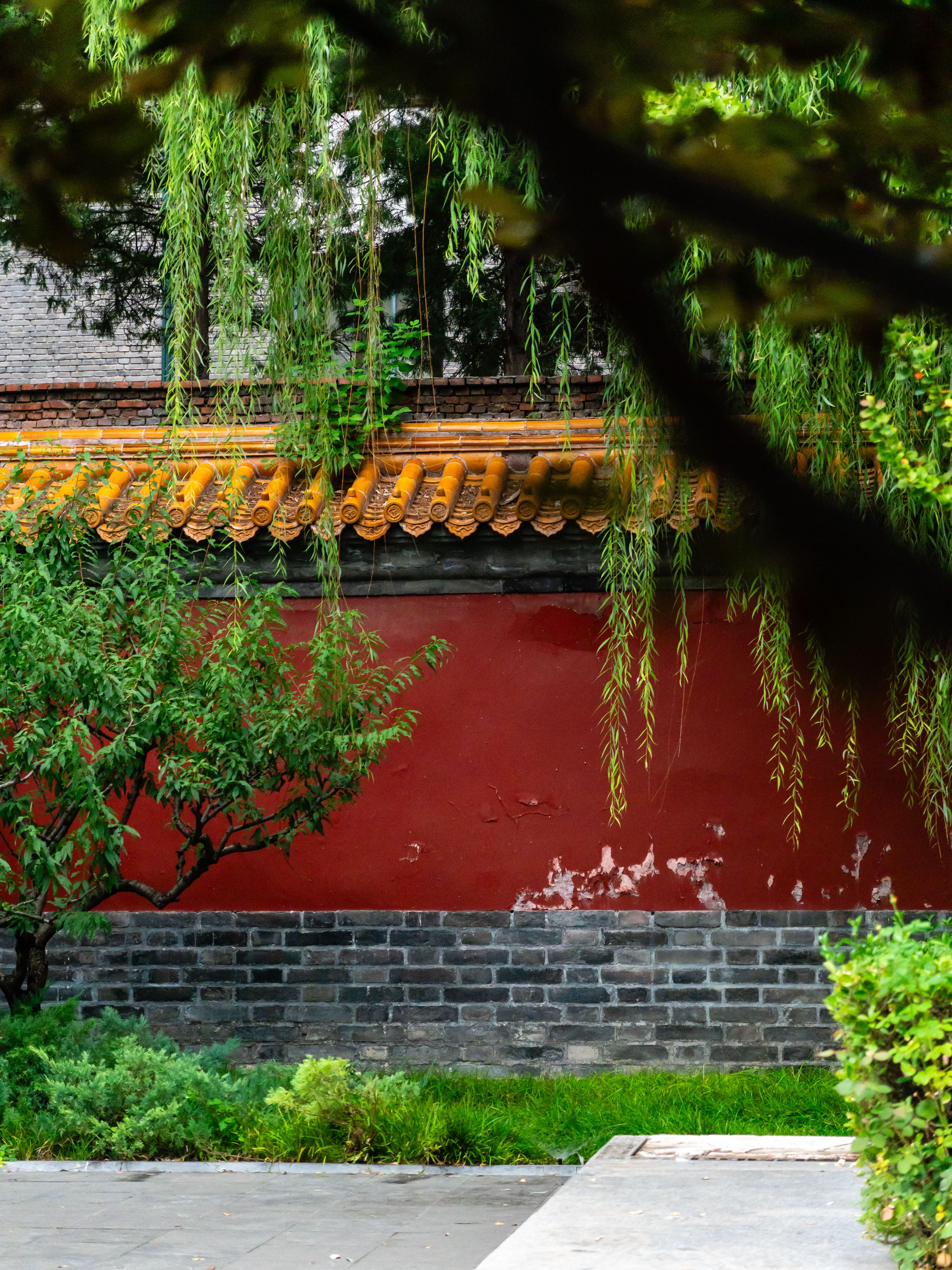 Traditional Chinese Garden with Red Wall and Greenery · Free Stock Photo