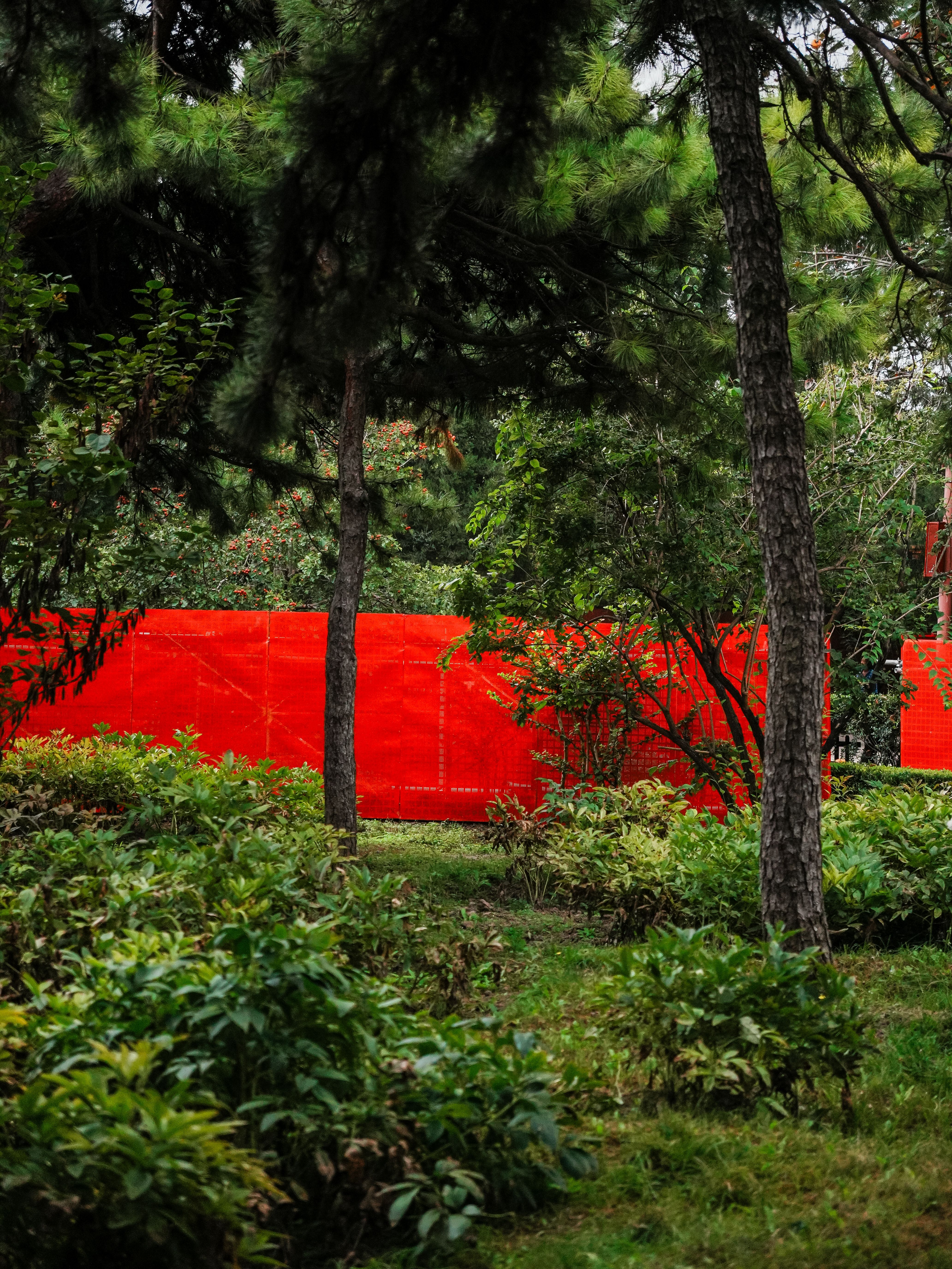 Vibrant Red Fence in Lush Green Park Setting · Free Stock Photo
