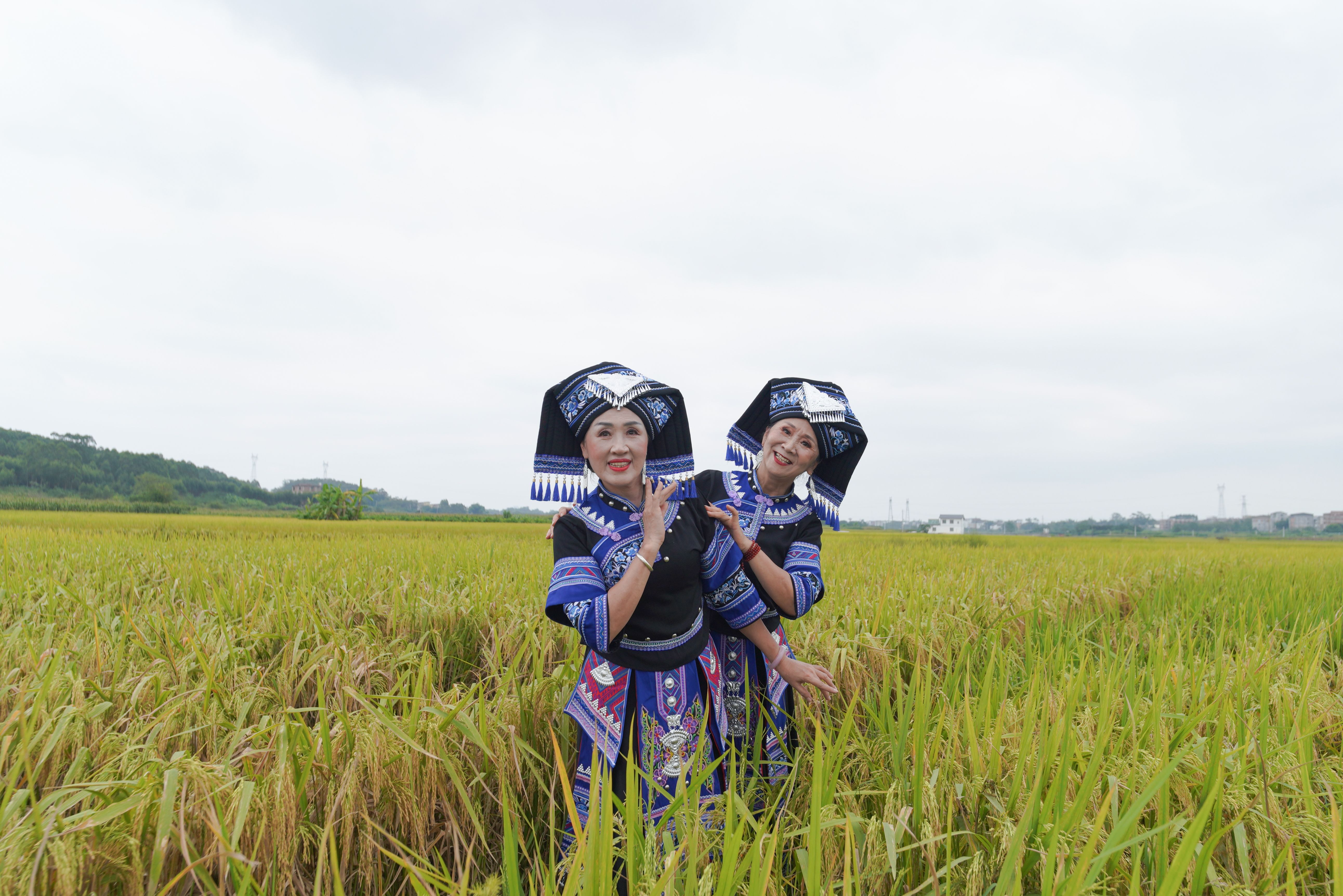 Zhuang Women in Traditional Costume Outdoors · Free Stock Photo