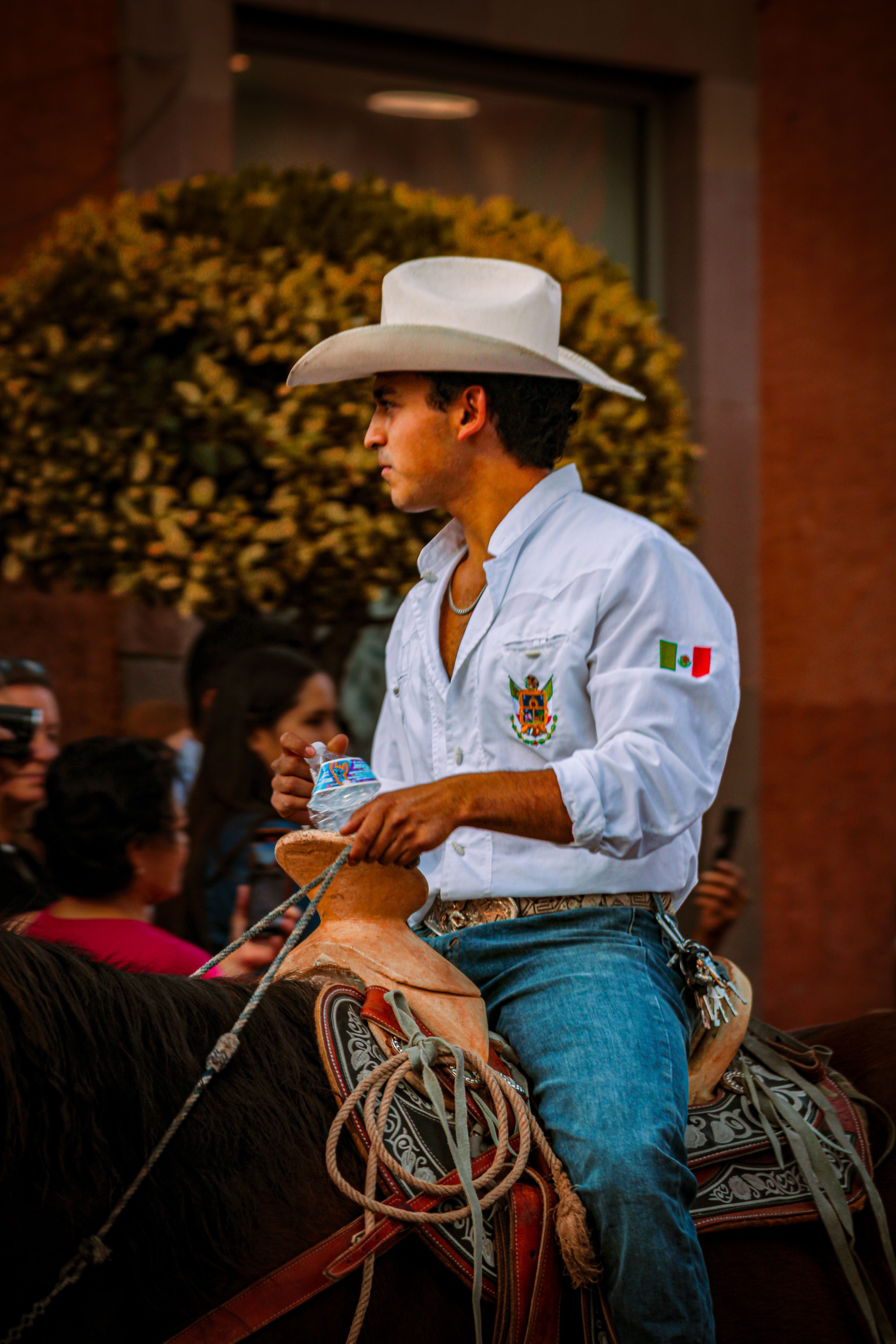 25.710+ Fotos y Imágenes de Caballos+reproduciendose Gratis · Banco de ...