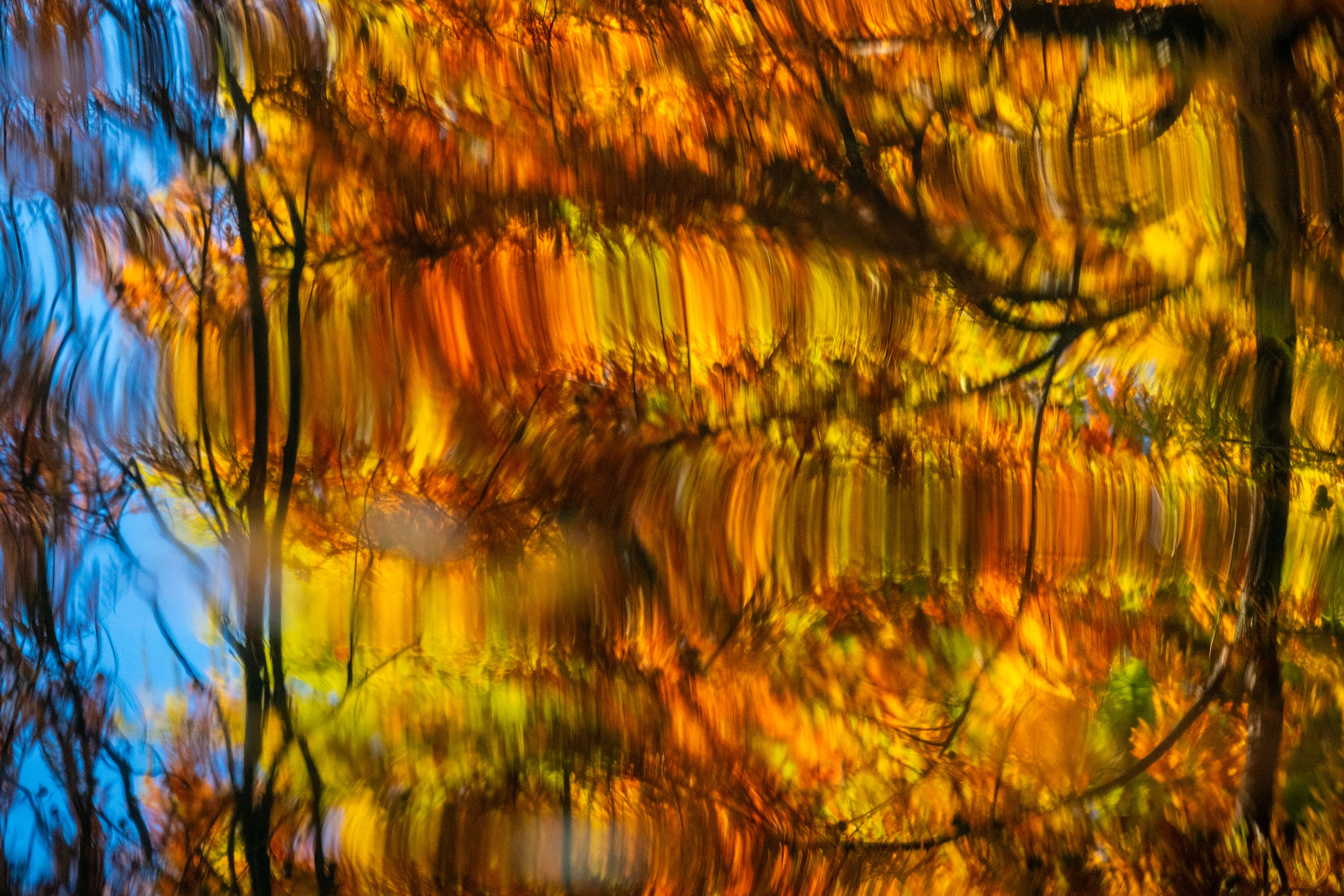 Vibrant Autumn Foliage Reflection in Water · Free Stock Photo