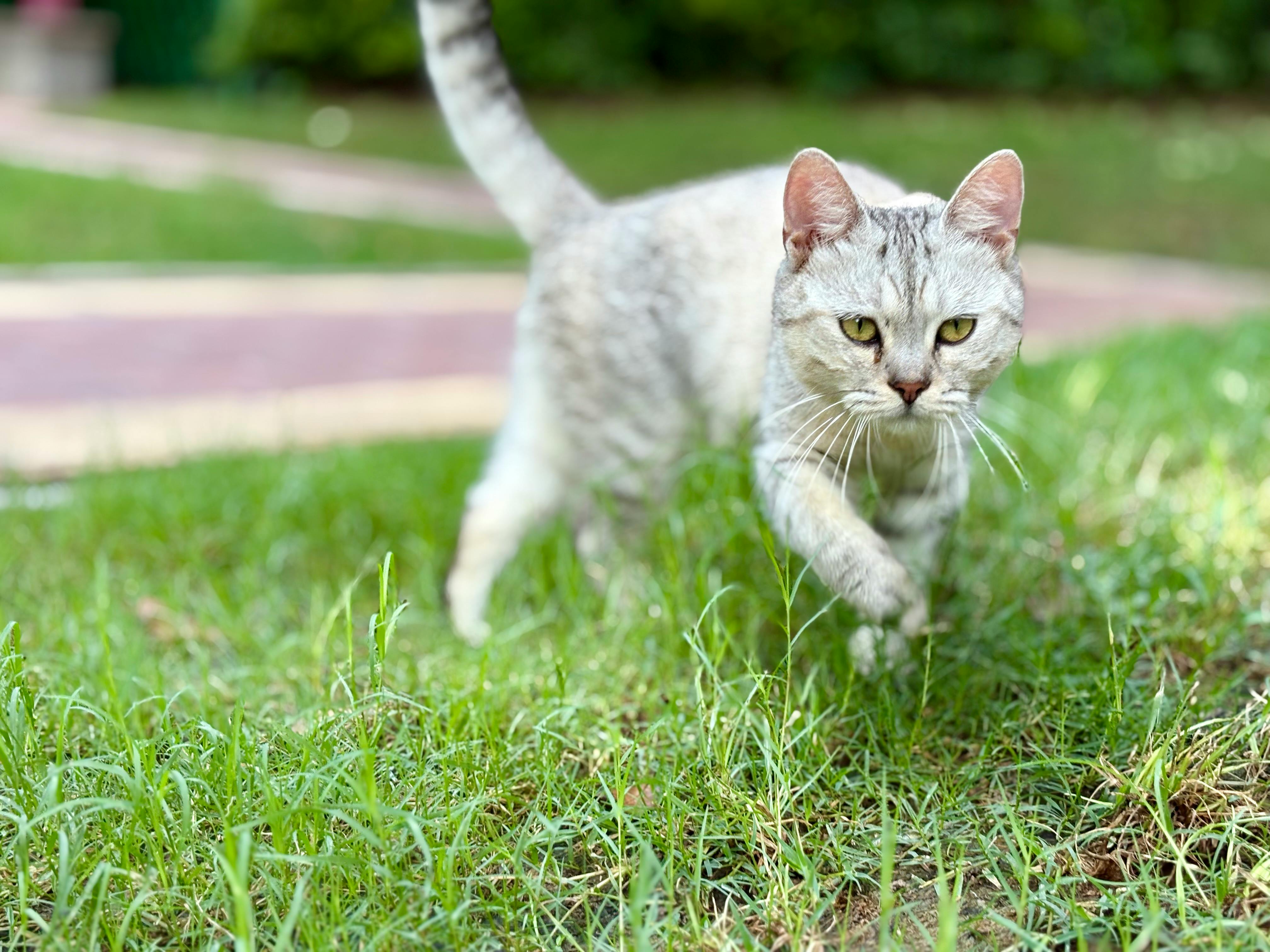 Cute Avatars Photos, Download The BEST Free Cute Avatars Stock Photos ...