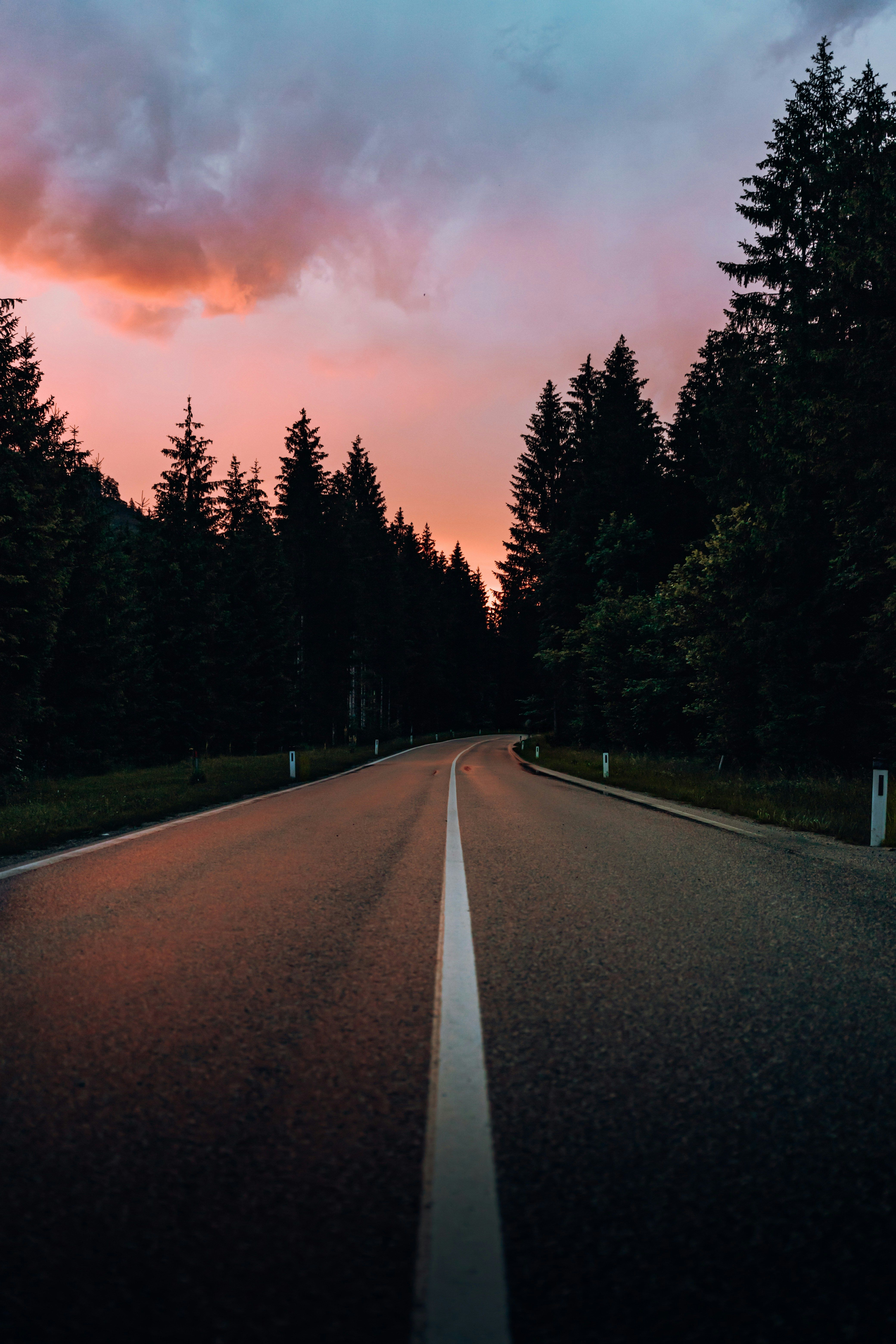 Winding Path Through Forest With Sunset Photos, Download The BEST Free ...