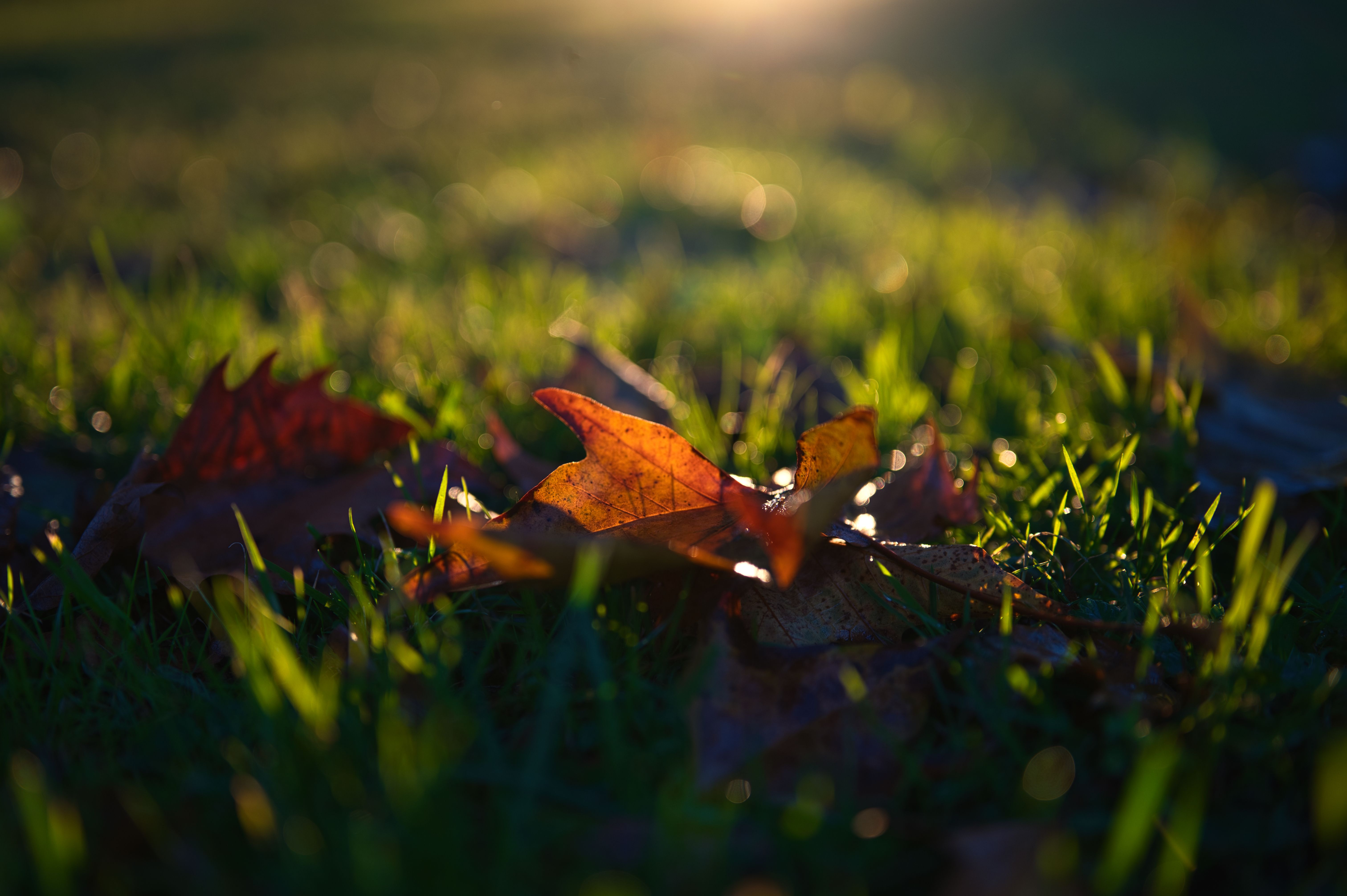 Writing, Sunrise Photos, Download The BEST Free Writing, Sunrise Stock ...