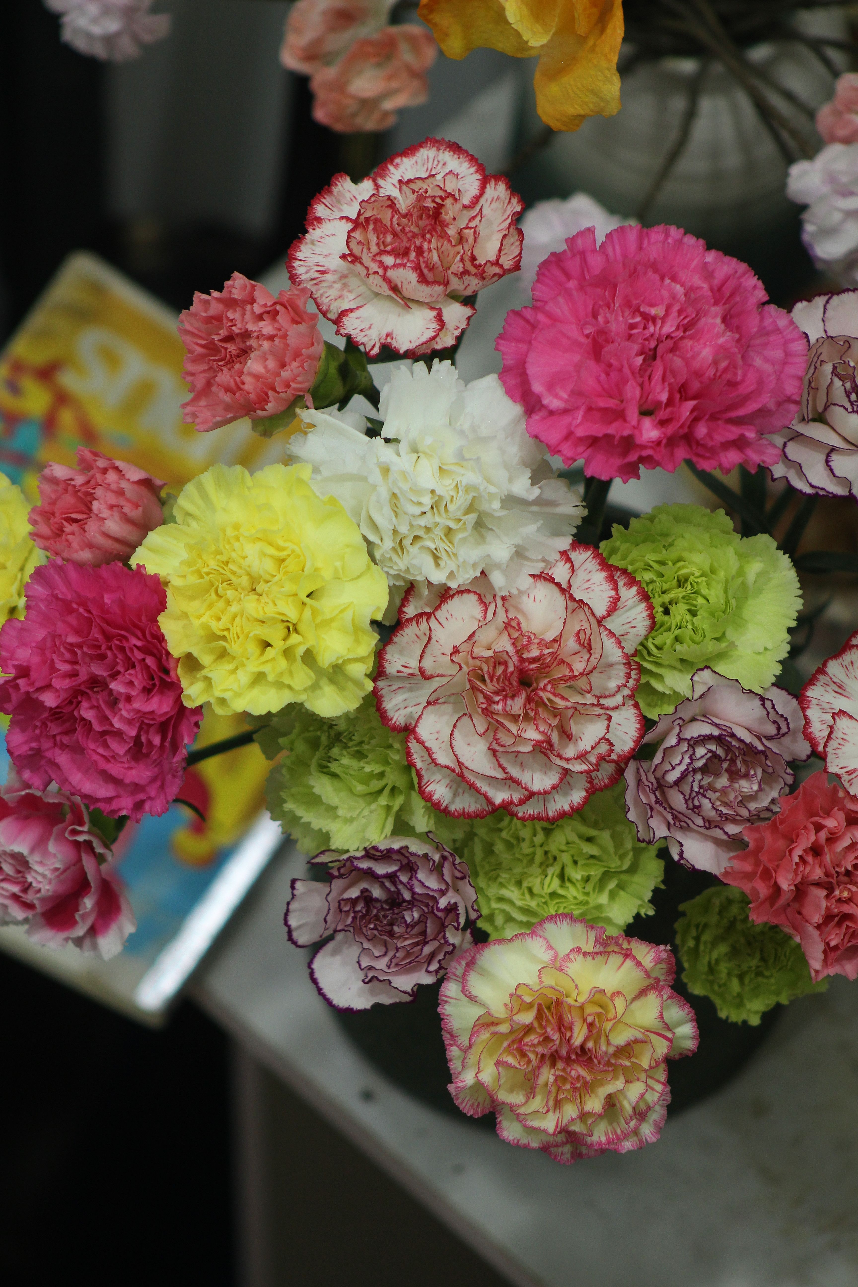 Vibrant Bouquet of Multicolored Carnations · Free Stock Photo