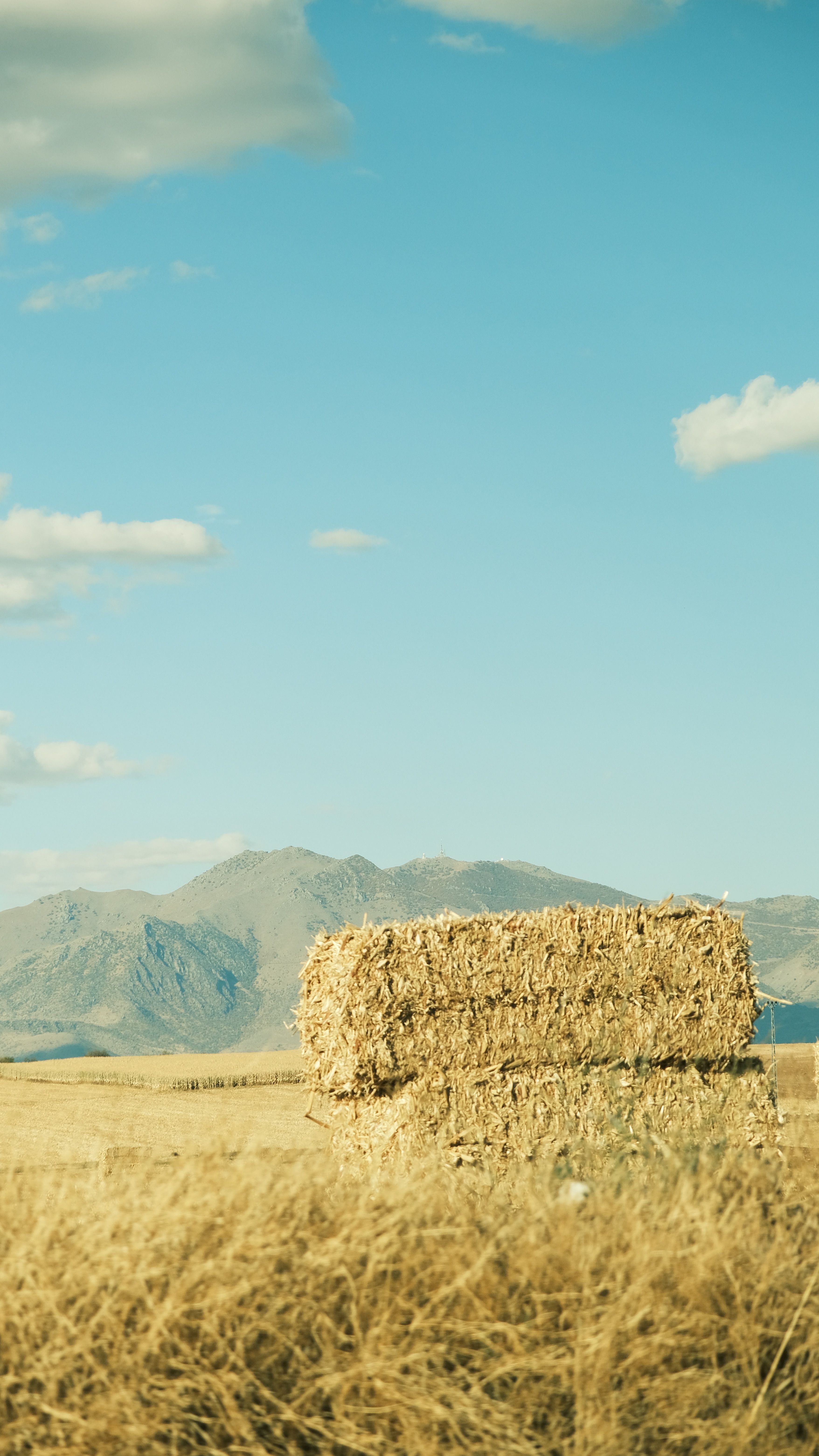Strawpage+Backgrounds Photos, Download The BEST Free Strawpage ...