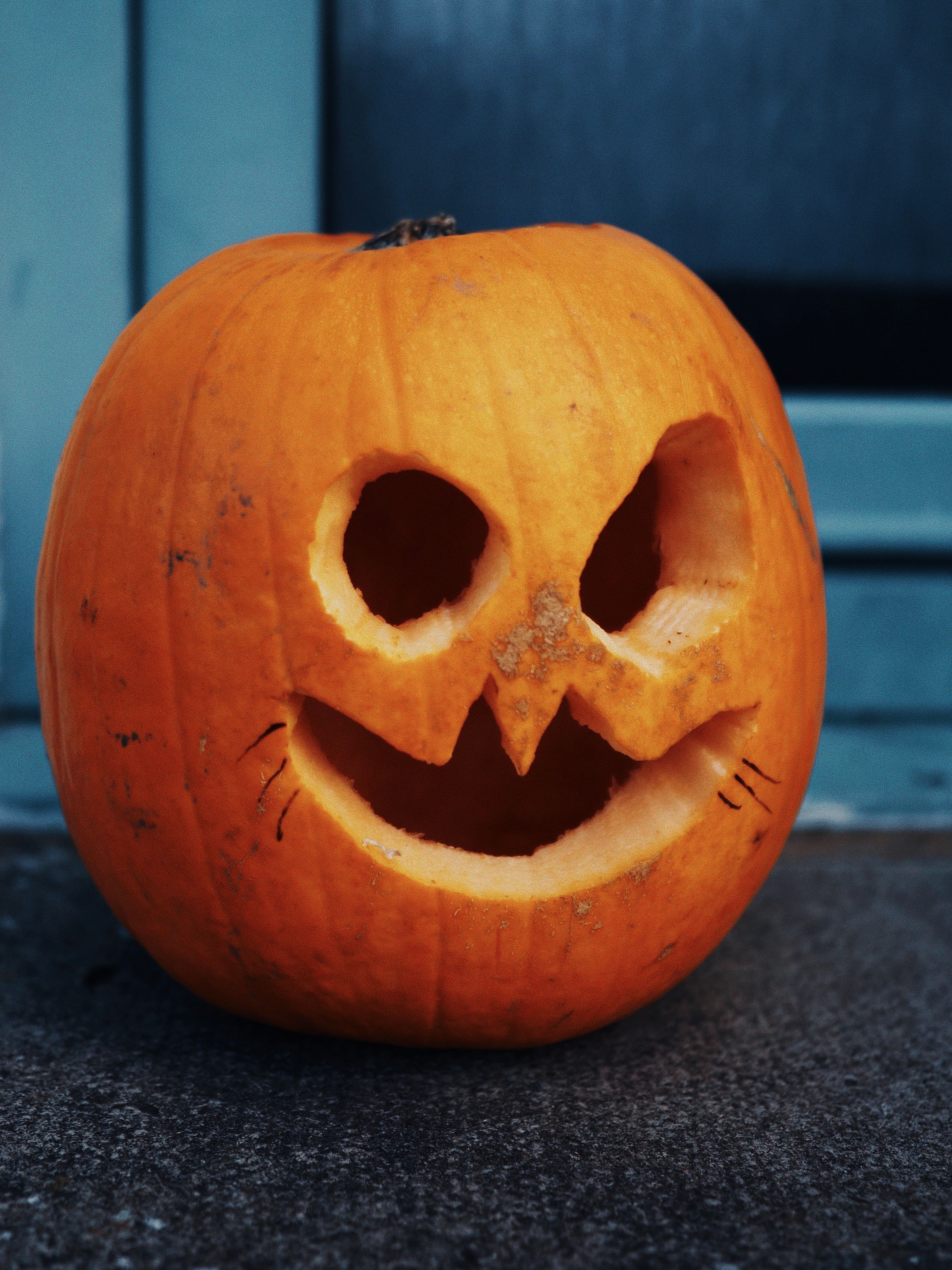 Pumpkin Halloween Photos, Download The BEST Free Pumpkin Halloween ...