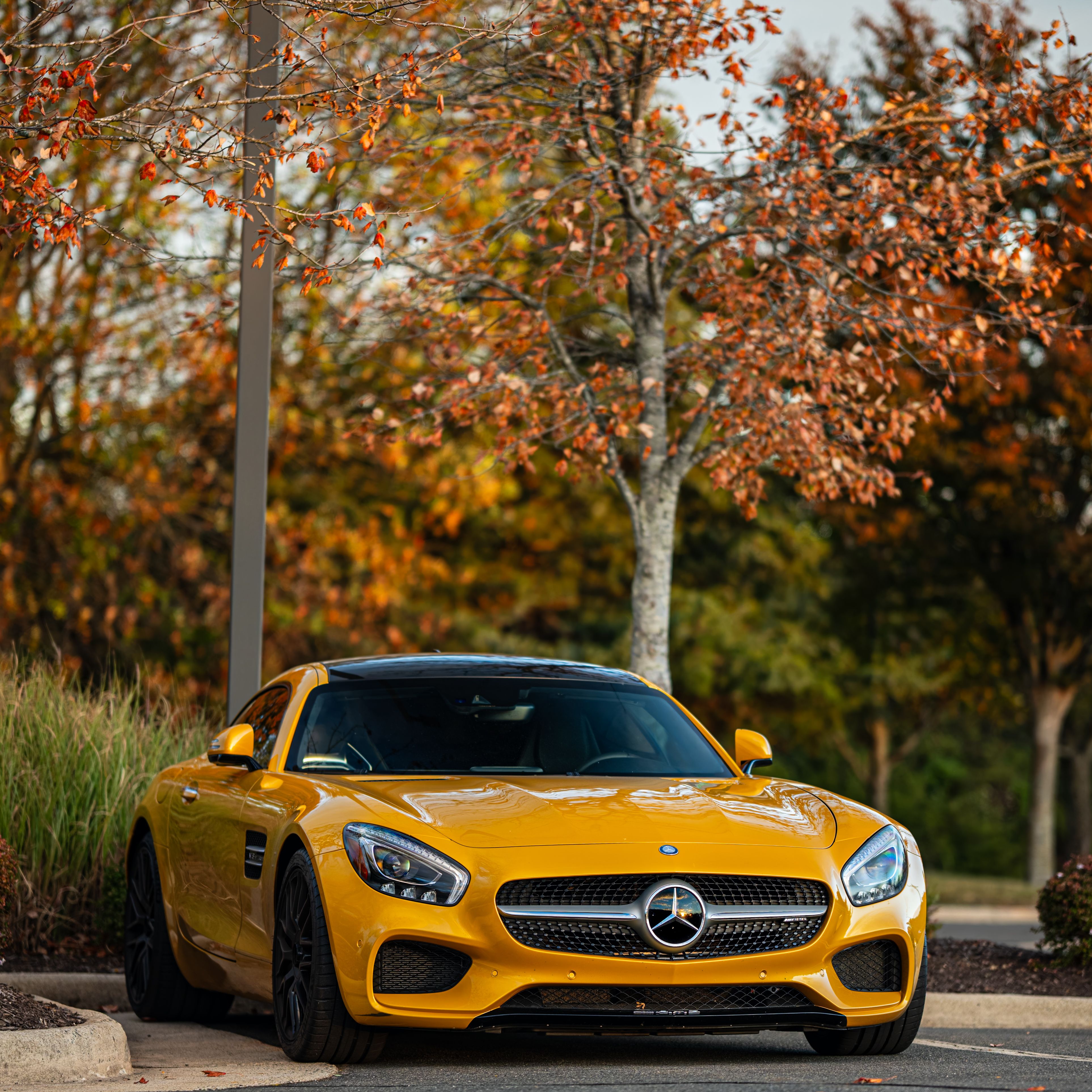Yellow Car Photos, Download The BEST Free Yellow Car Stock Photos & HD ...