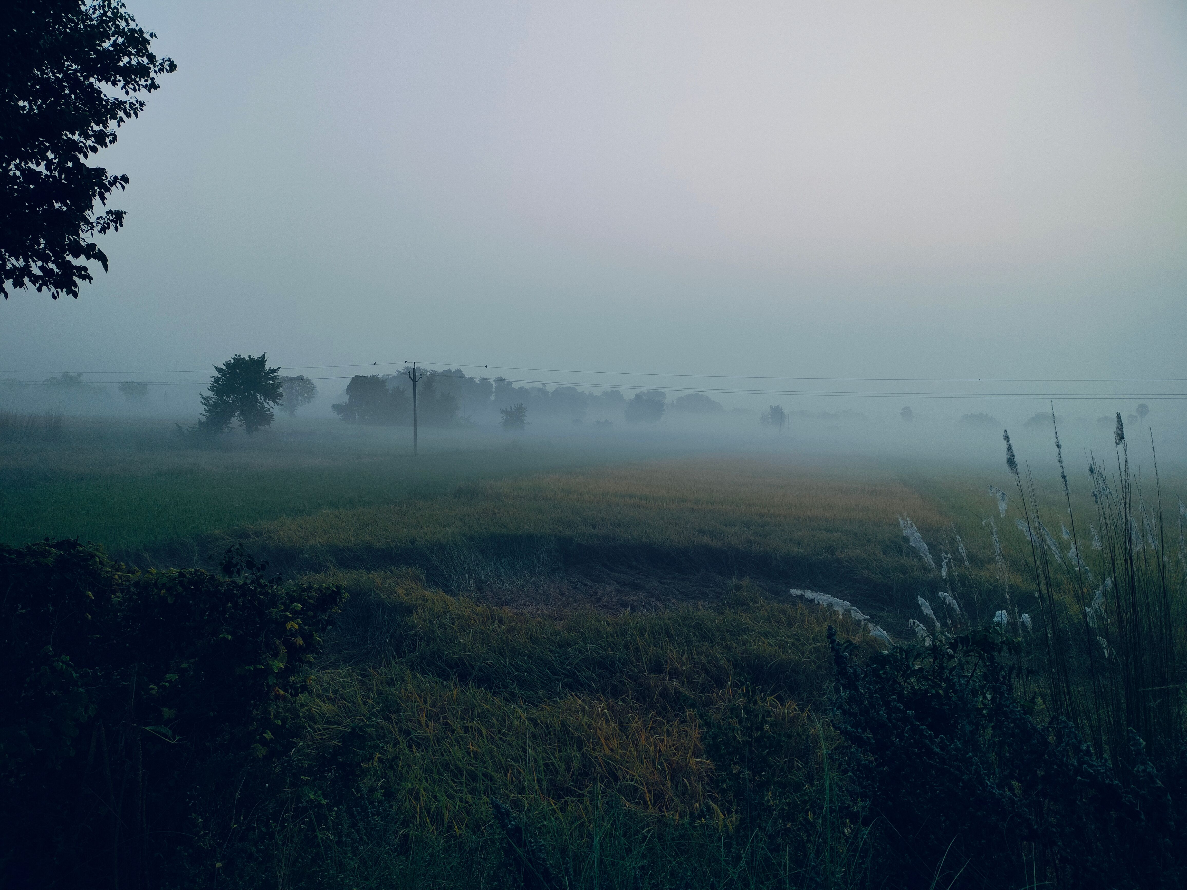 Bipin Bihari - Photography