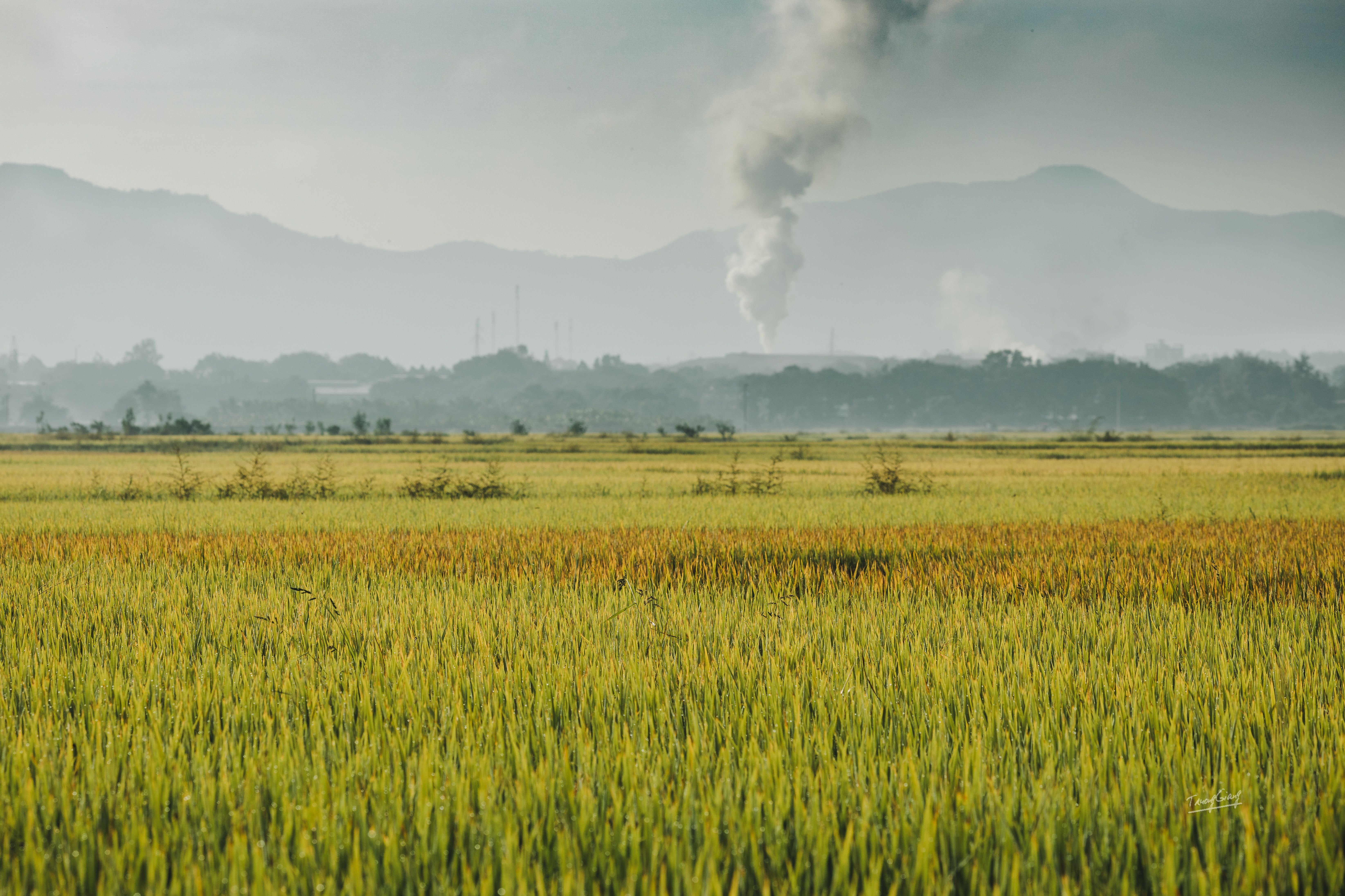 Smog Lat Photos, Download The BEST Free Smog Lat Stock Photos & HD Images