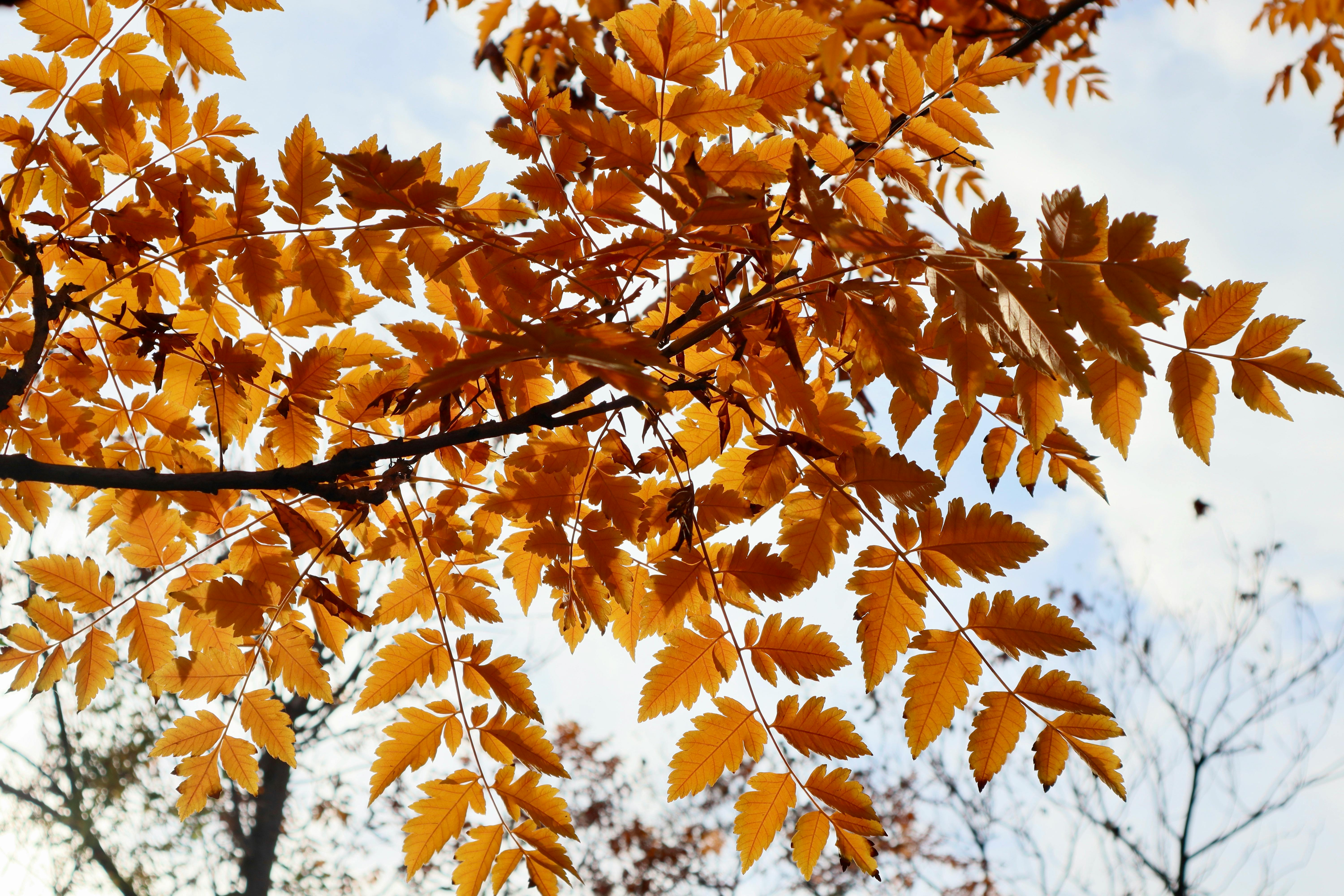 Background Weather Photos, Download The BEST Free Background Weather ...