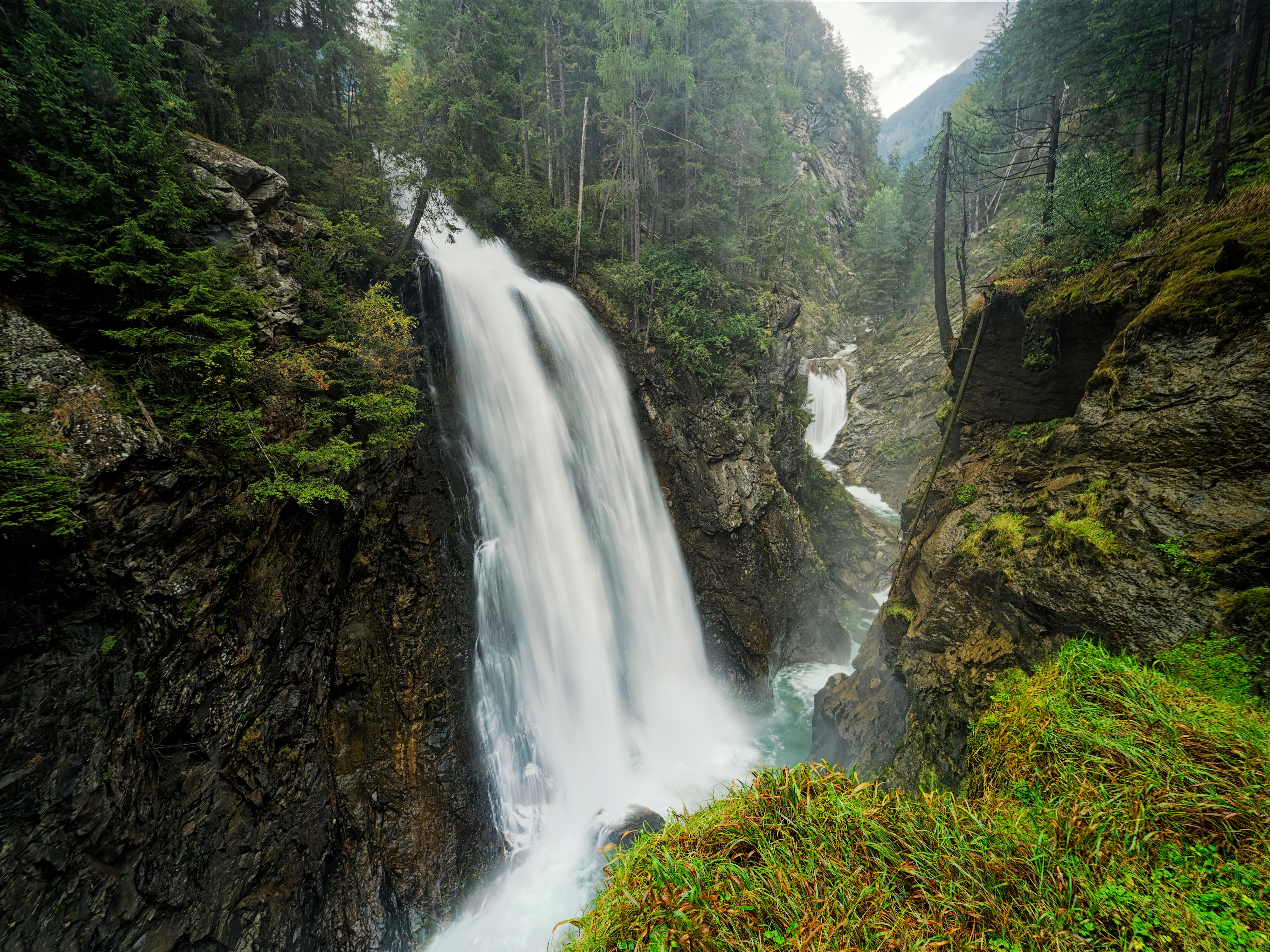 Waterfall Near Trees · Free Stock Photo