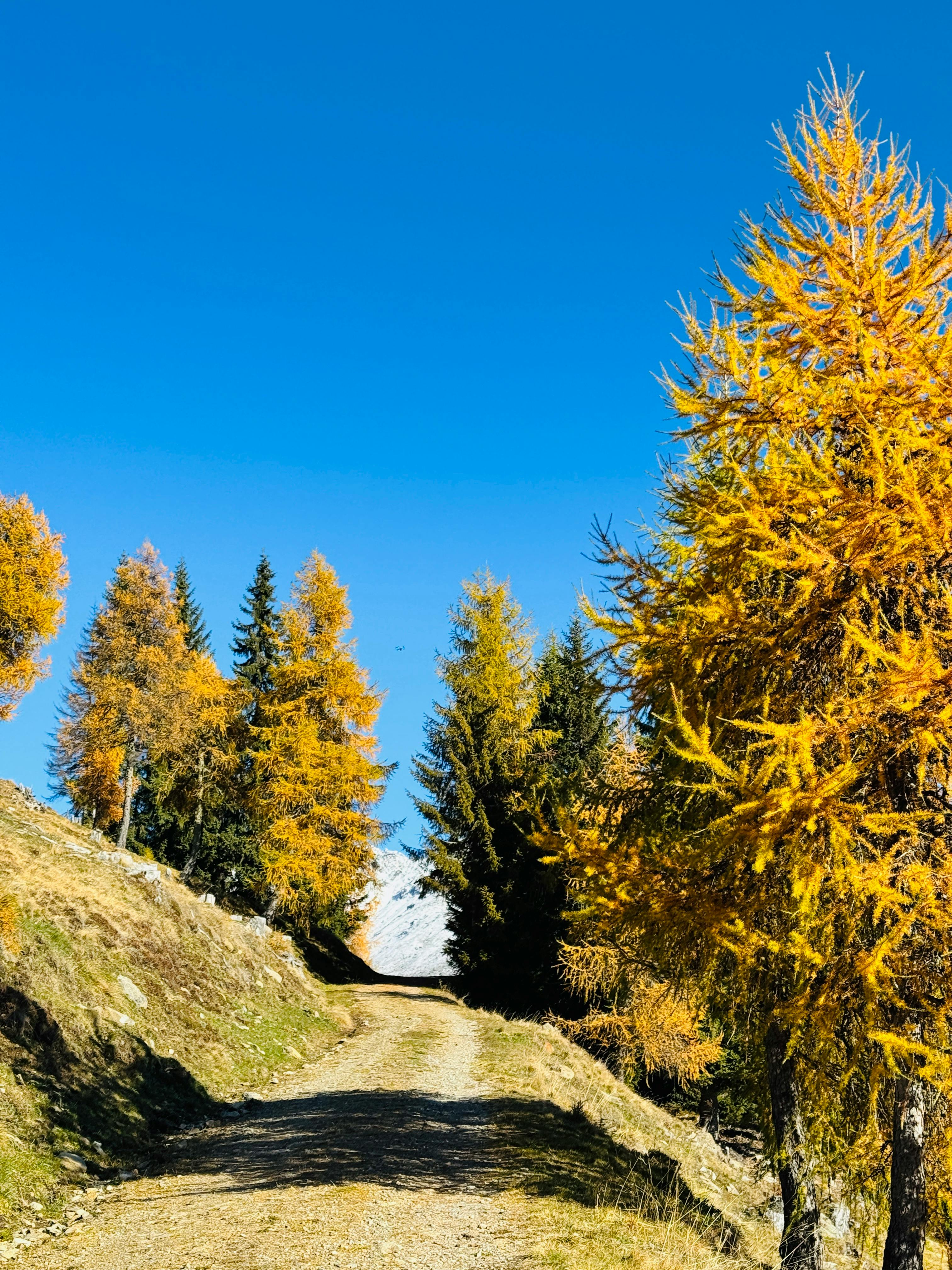 Last Day Of November Photos, Download The BEST Free Last Day Of ...