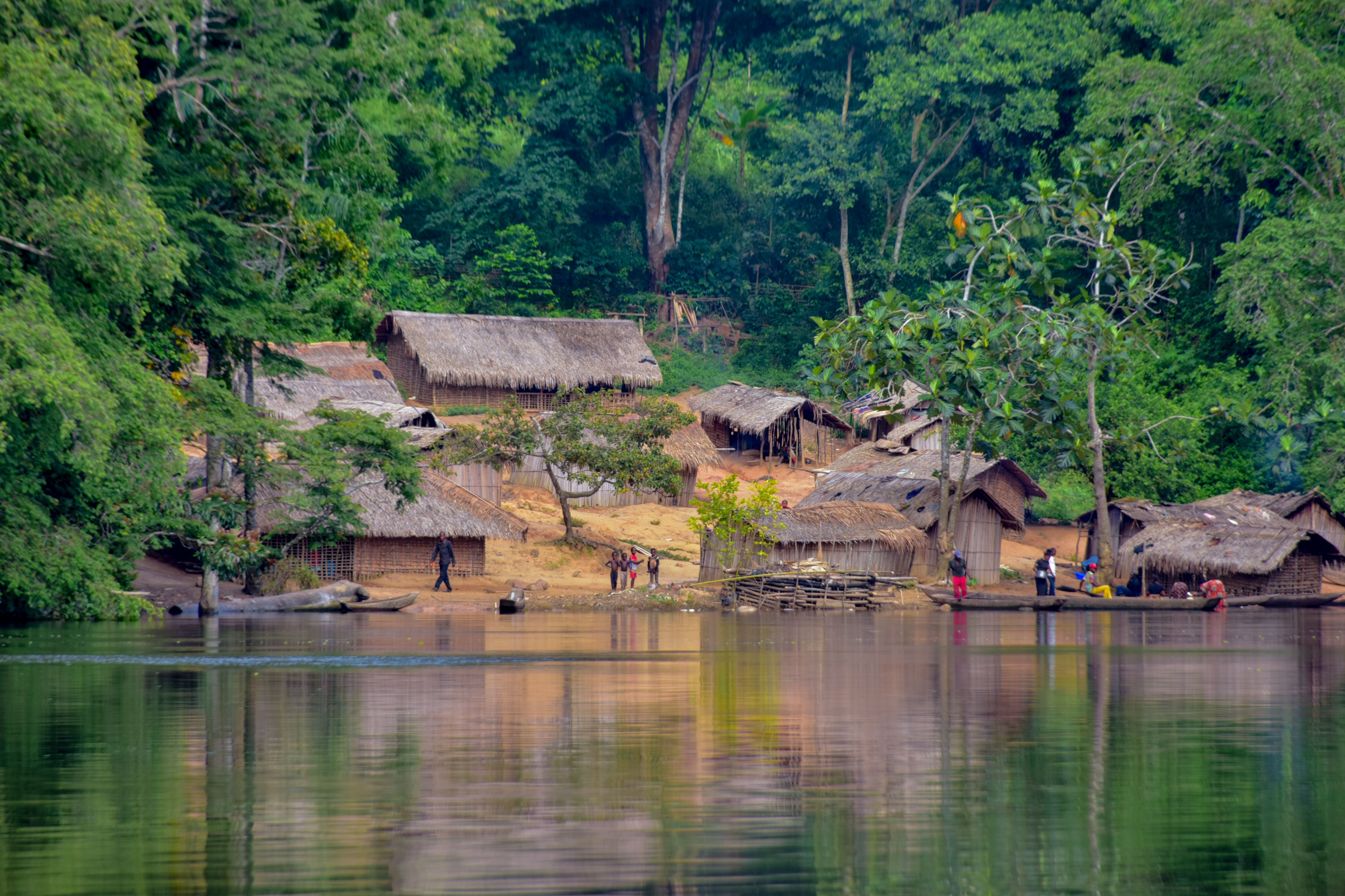 Tropical+Rainfal+Dti Photos, Download The BEST Free Tropical+Rainfal ...