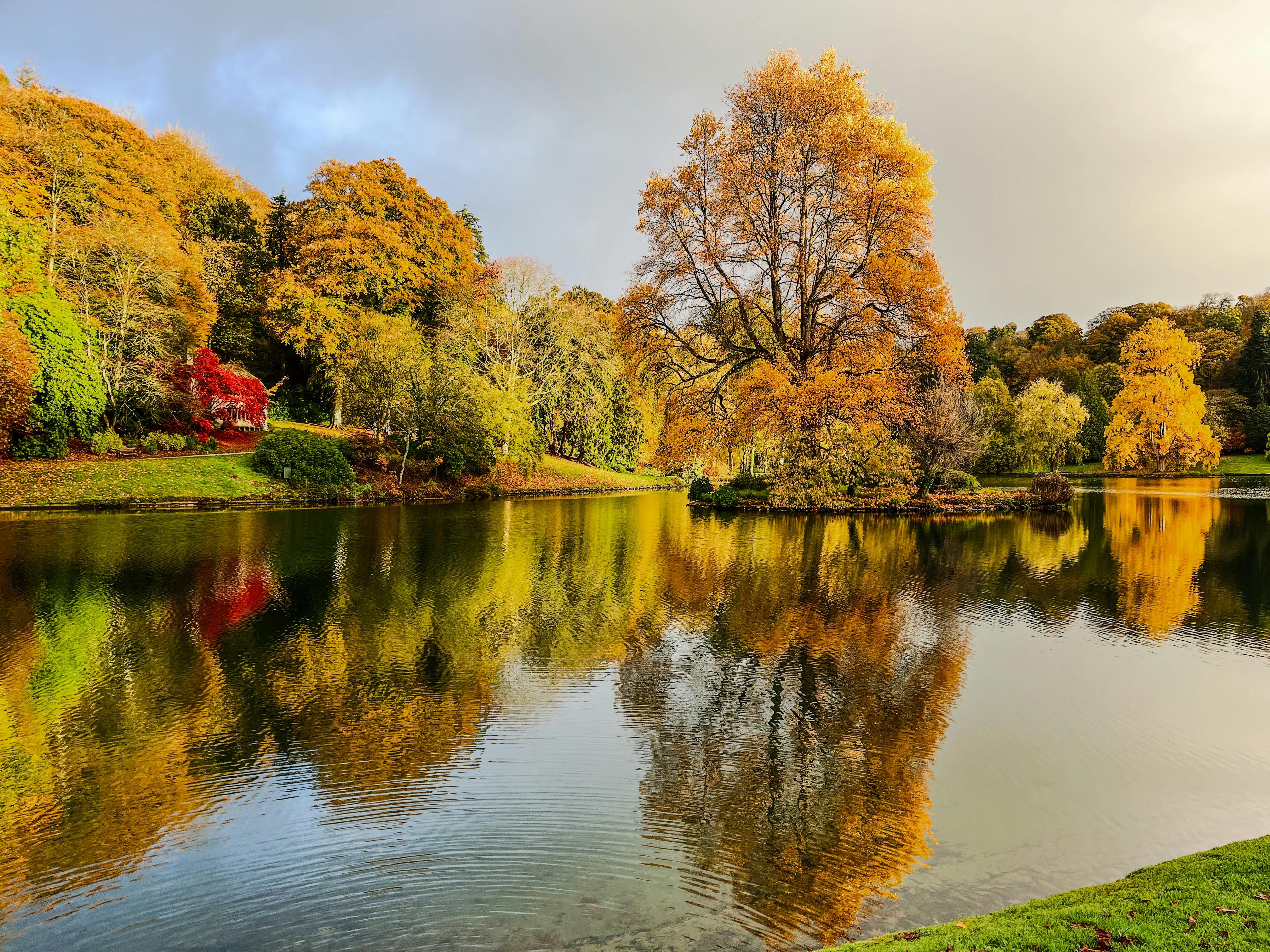 Fall Images Photos, Download The BEST Free Fall Images Stock Photos ...