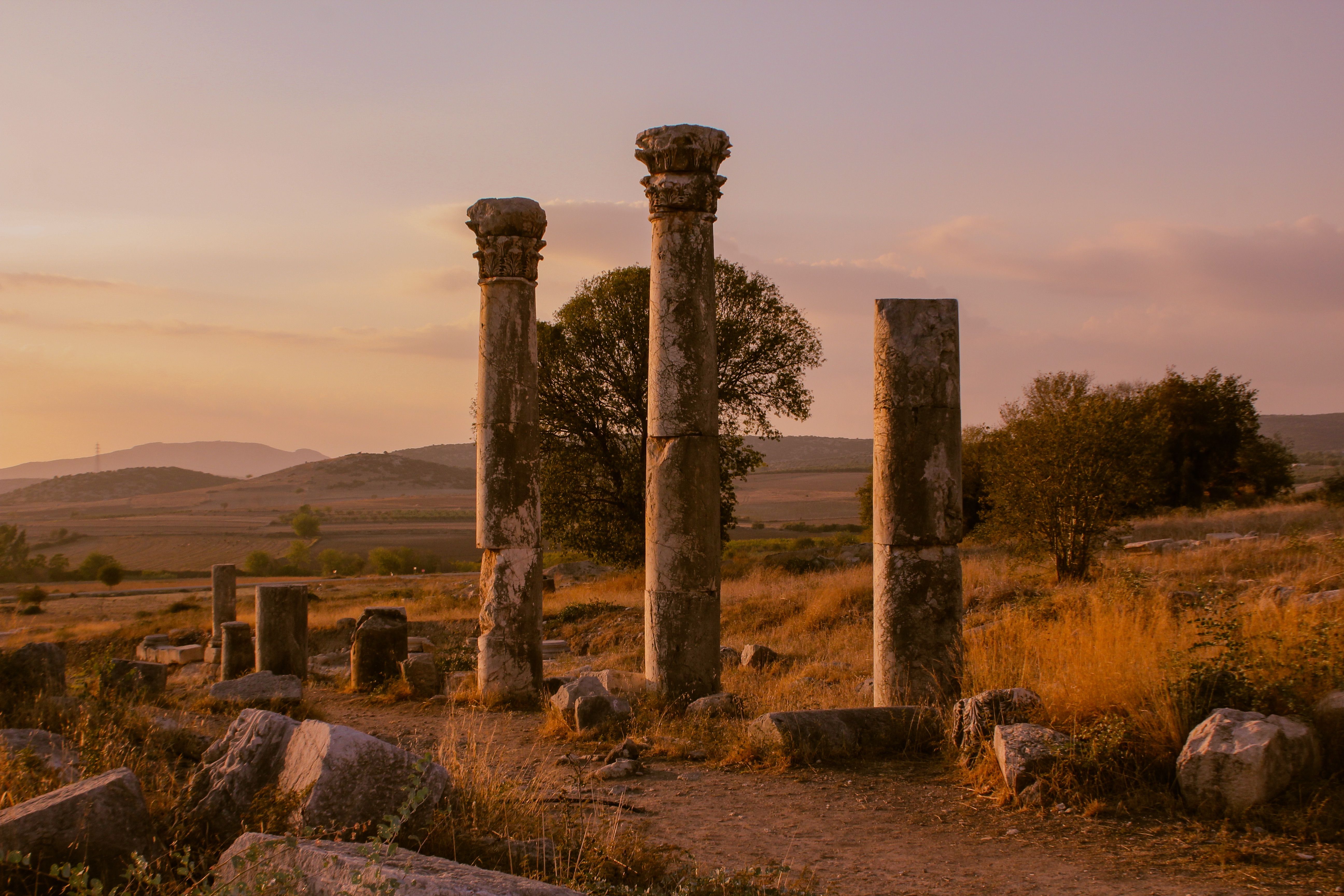 Old Rich Scenery Photos, Download The BEST Free Old Rich Scenery Stock ...