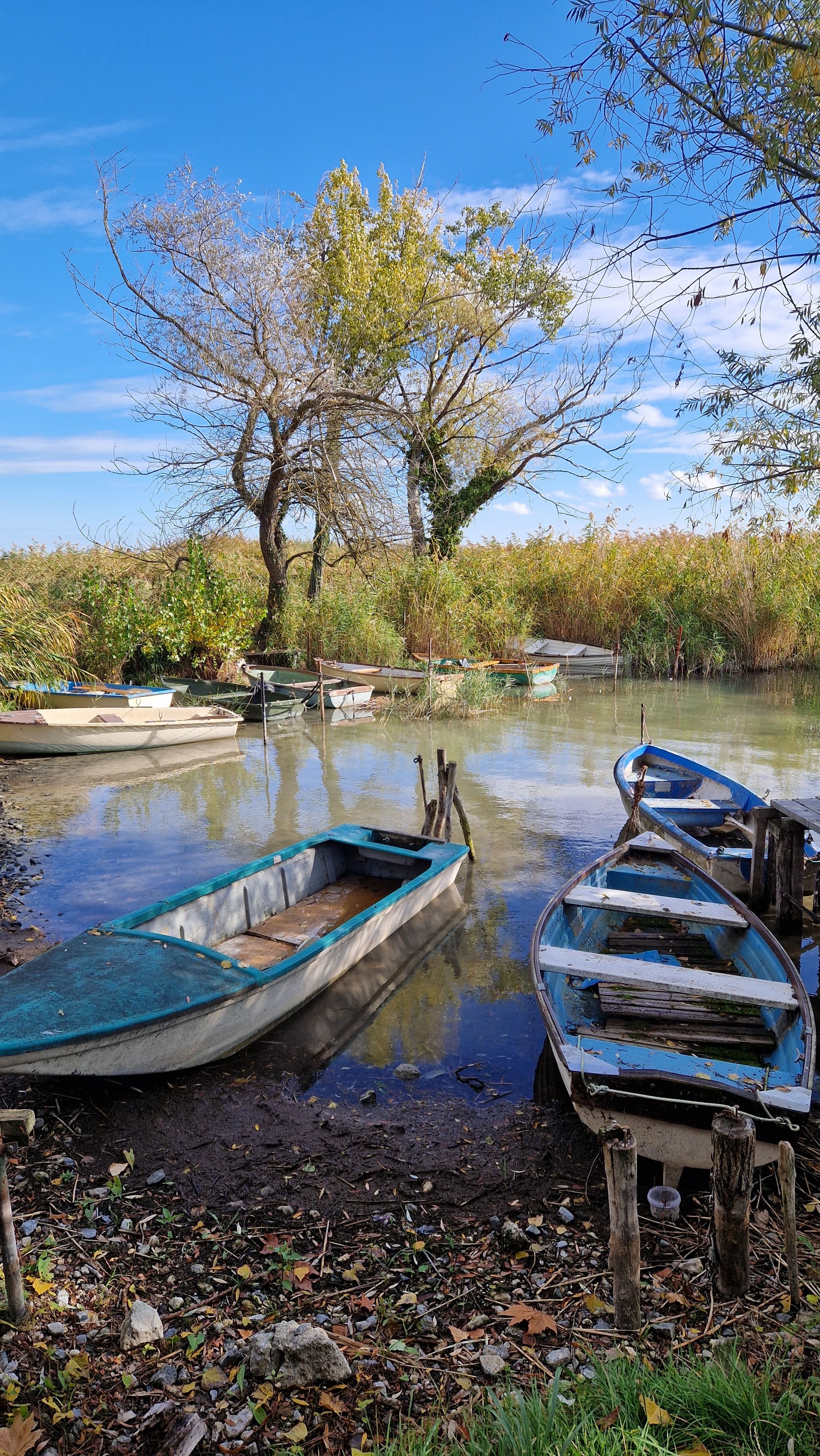 Freshwater Photos, Download The BEST Free Freshwater Stock Photos & HD ...