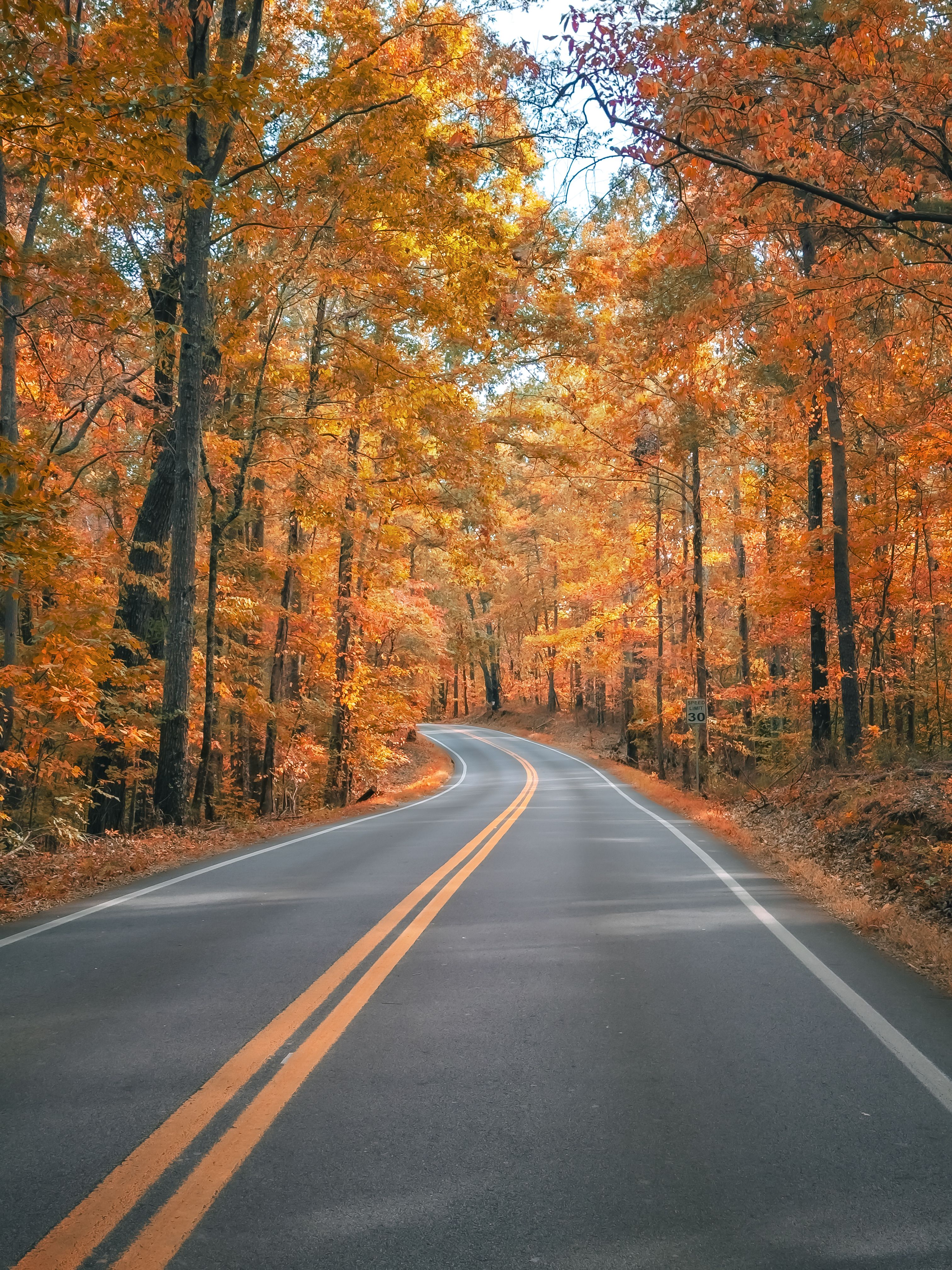 Scenic Autumn Road Through Vibrant Foliage · Free Stock Photo