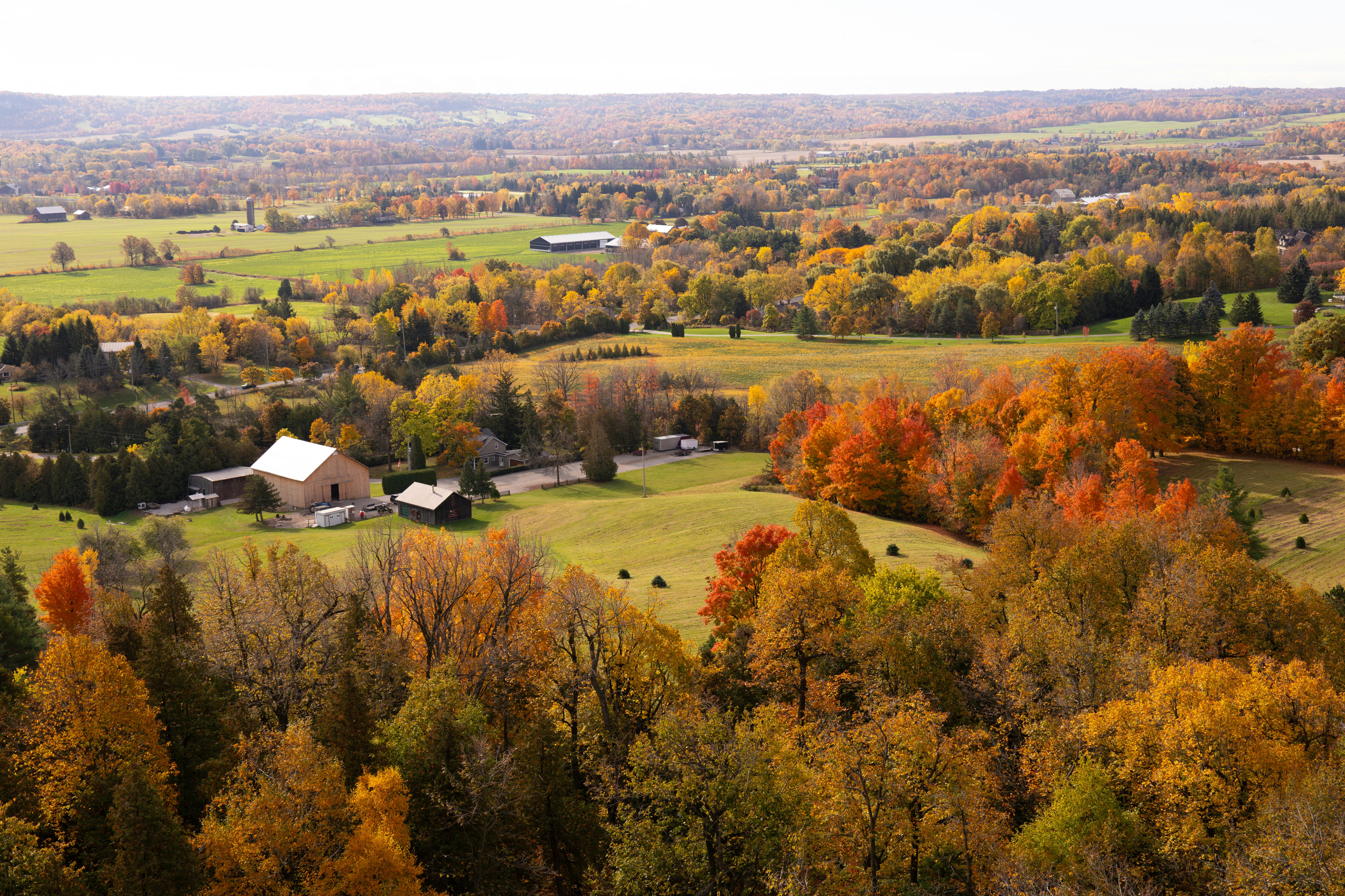 Farms Photos, Download The BEST Free Farms Stock Photos & HD Images