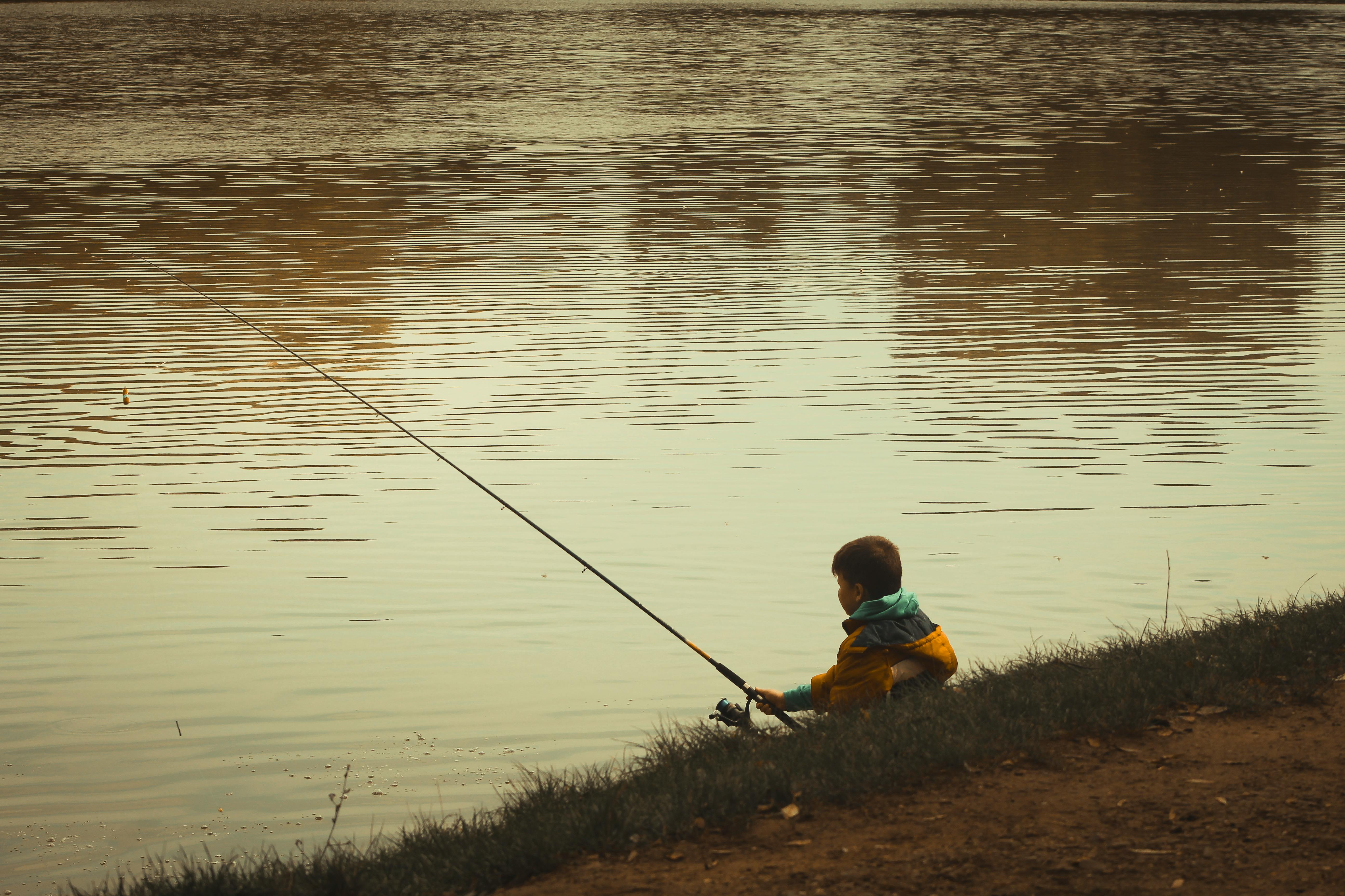 Rod Photos, Download The BEST Free Rod Stock Photos & HD Images