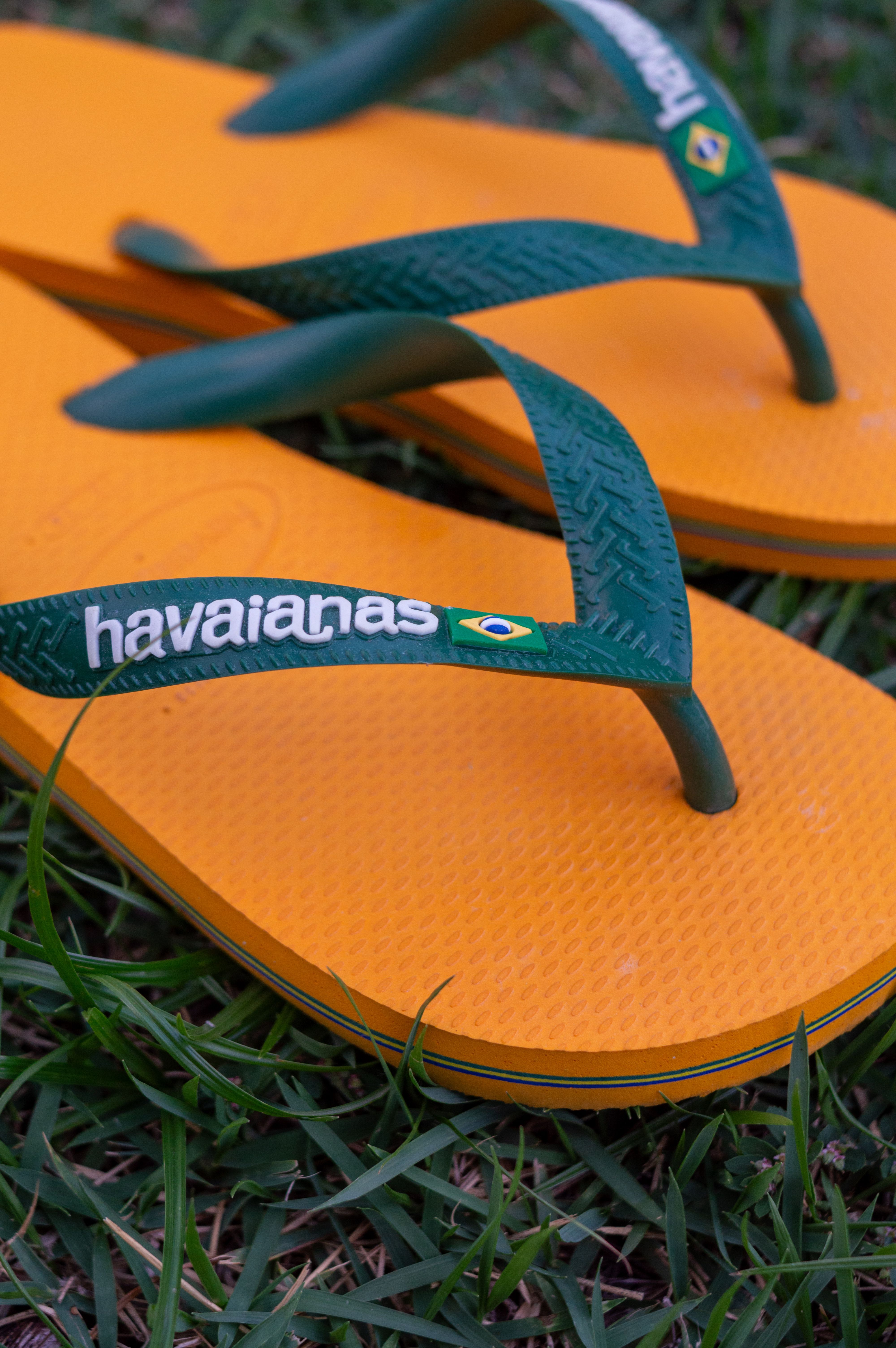 Close-up of Yellow Havaianas Flip Flops on Grass · Free Stock Photo