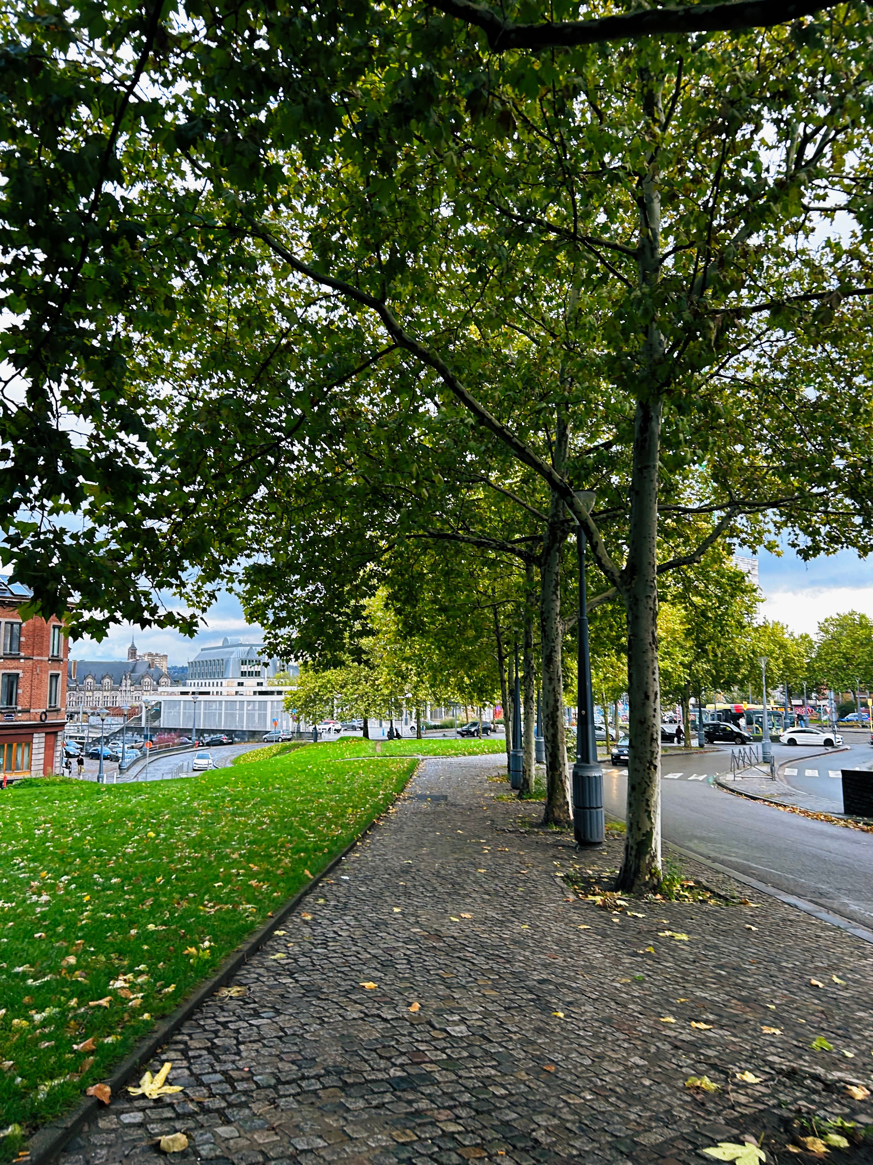 Local Parks Photos, Download The BEST Free Local Parks Stock Photos ...