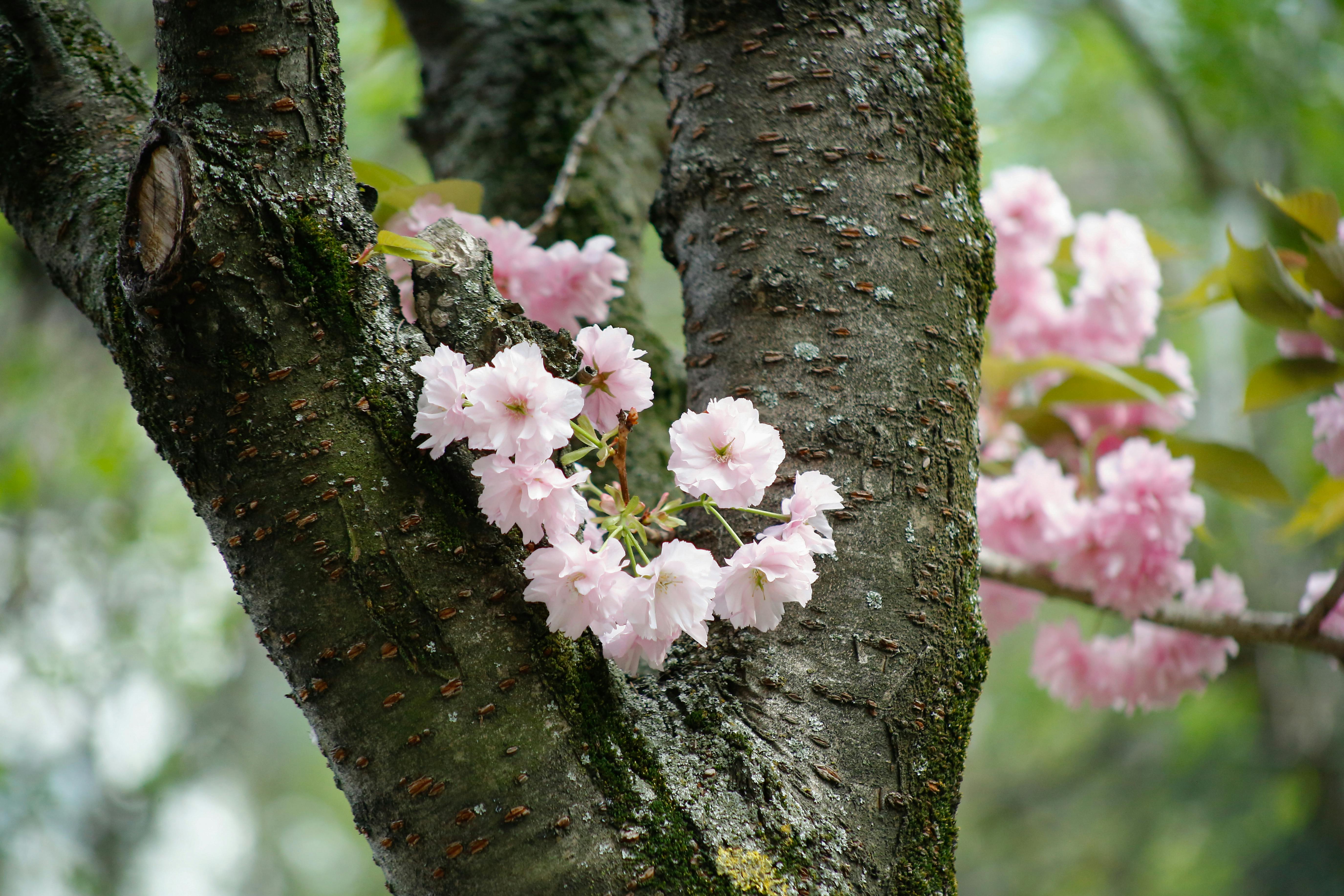 Texturs Photos, Download The BEST Free Texturs Stock Photos & HD Images