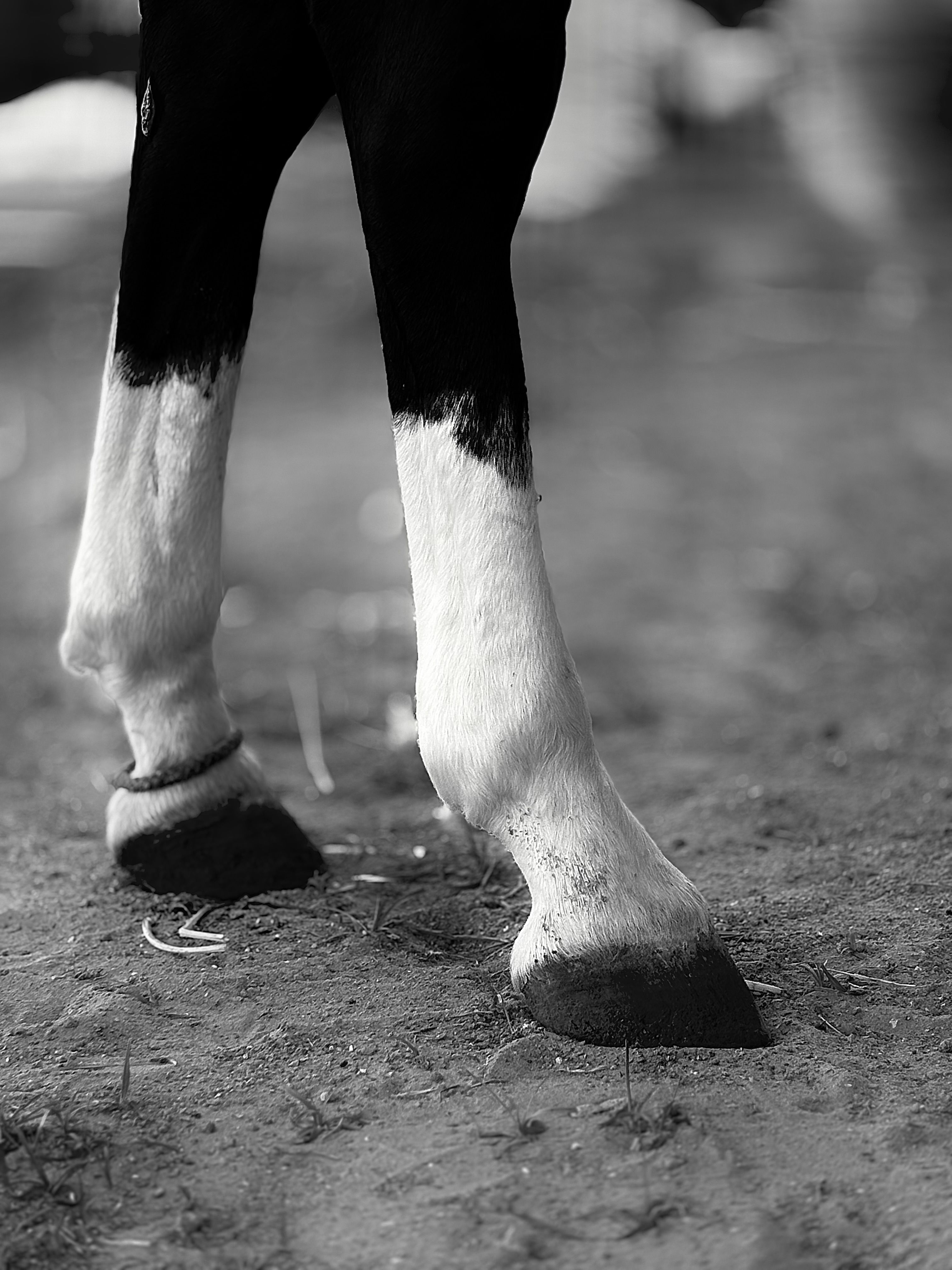 10,000+ Best Feet Photos · 100% Free Download · Pexels Stock Photos