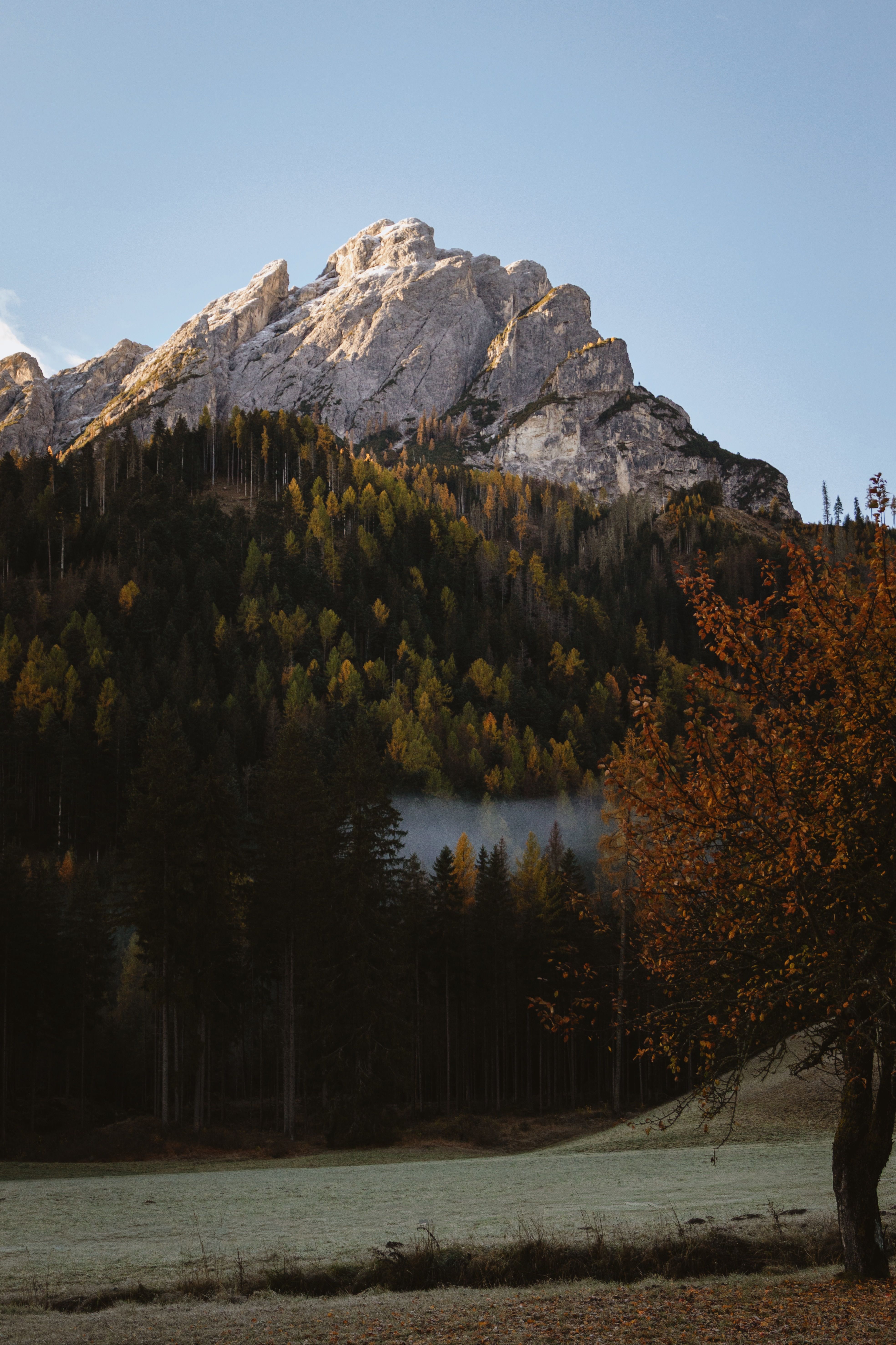 Good+Morning+Vietna,M Photos, Download The BEST Free Good+Morning ...