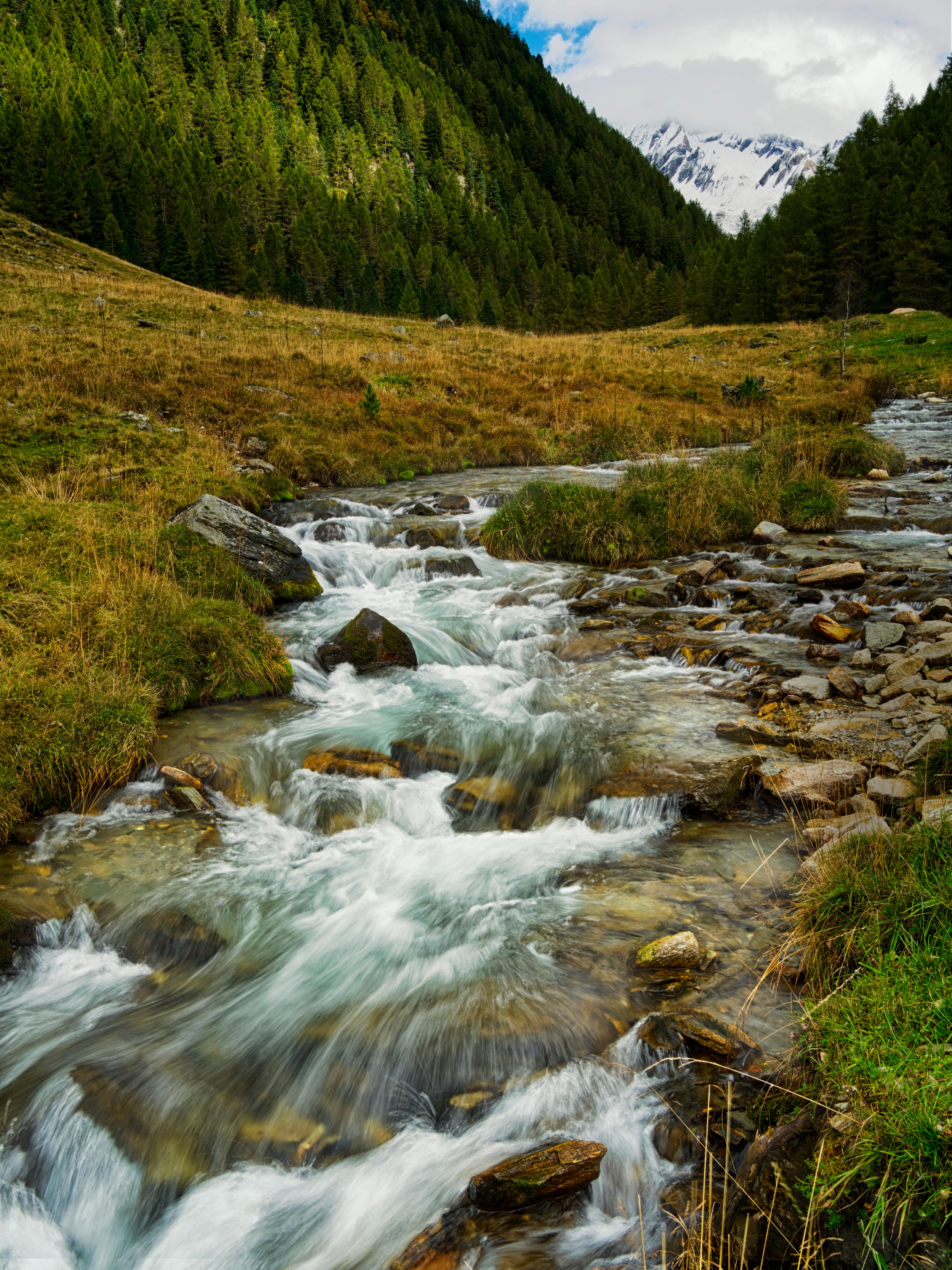 Scenic Mountain Stream Flowing in Lush Forest · Free Stock Photo