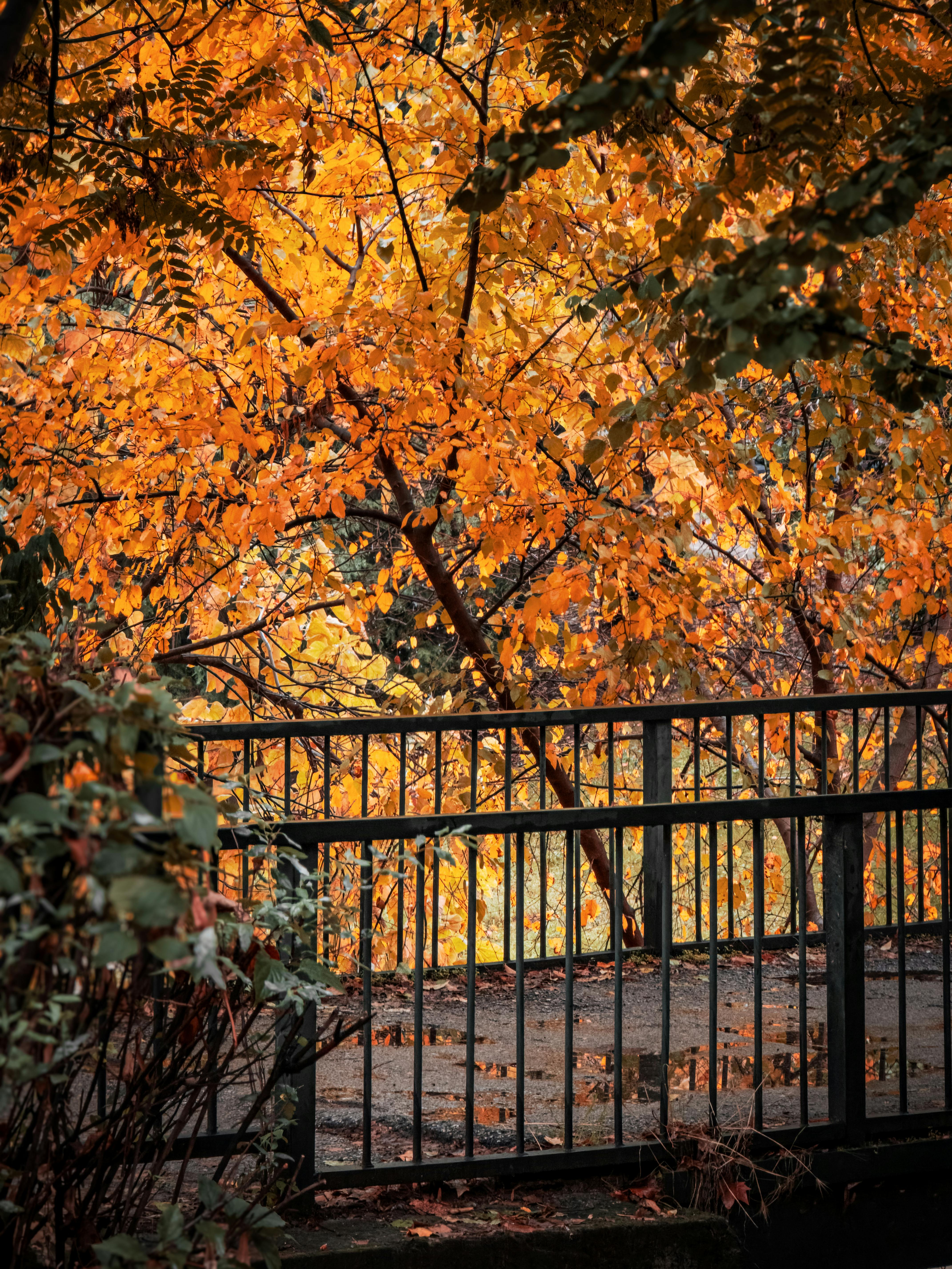 Ptm Wallpapers Photos, Download The BEST Free Ptm Wallpapers Stock ...