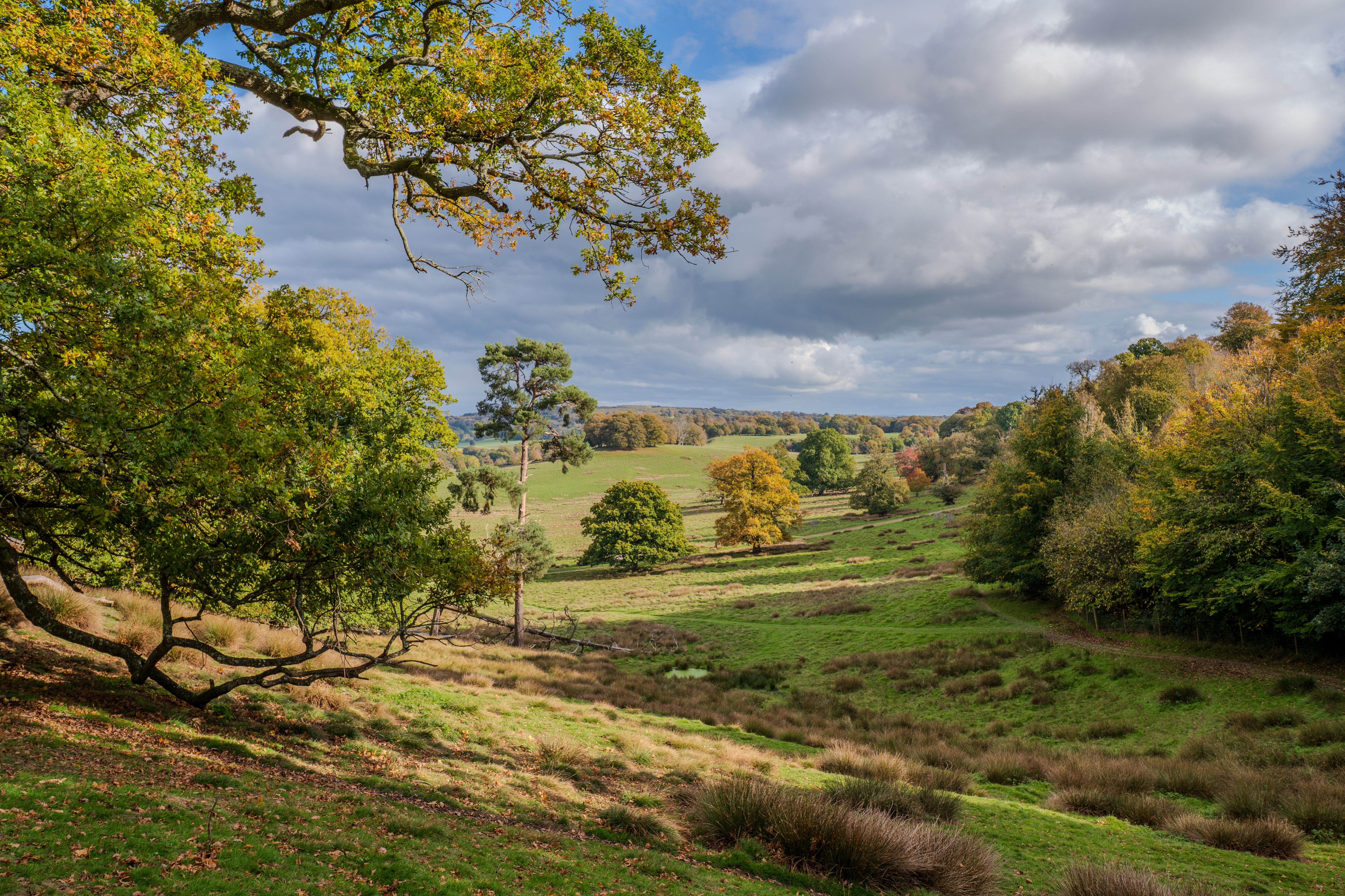 Scenic Autumn Landscape with Rolling Hills · Free Stock Photo