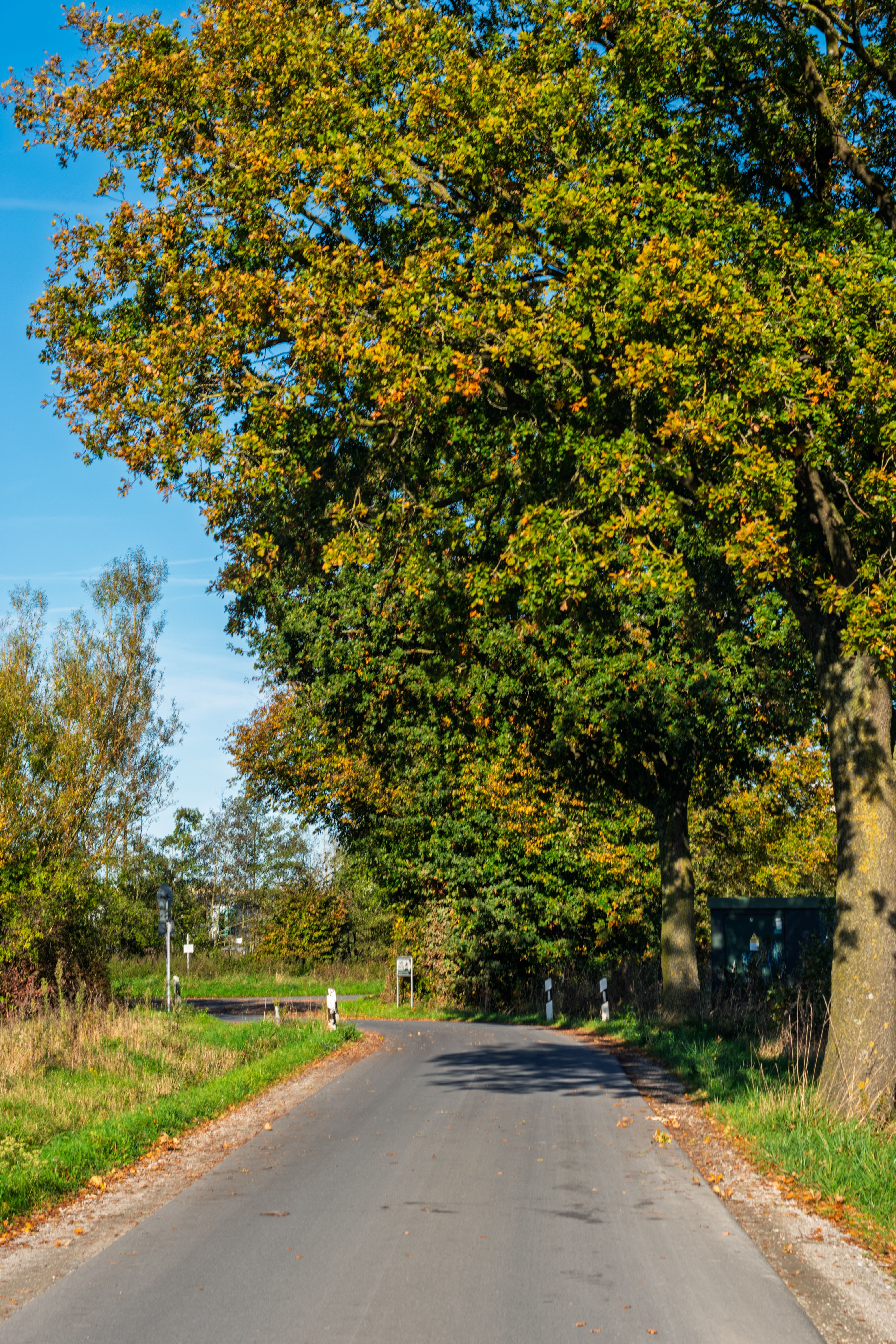 Scenic Country Road with Autumn Trees · Free Stock Photo