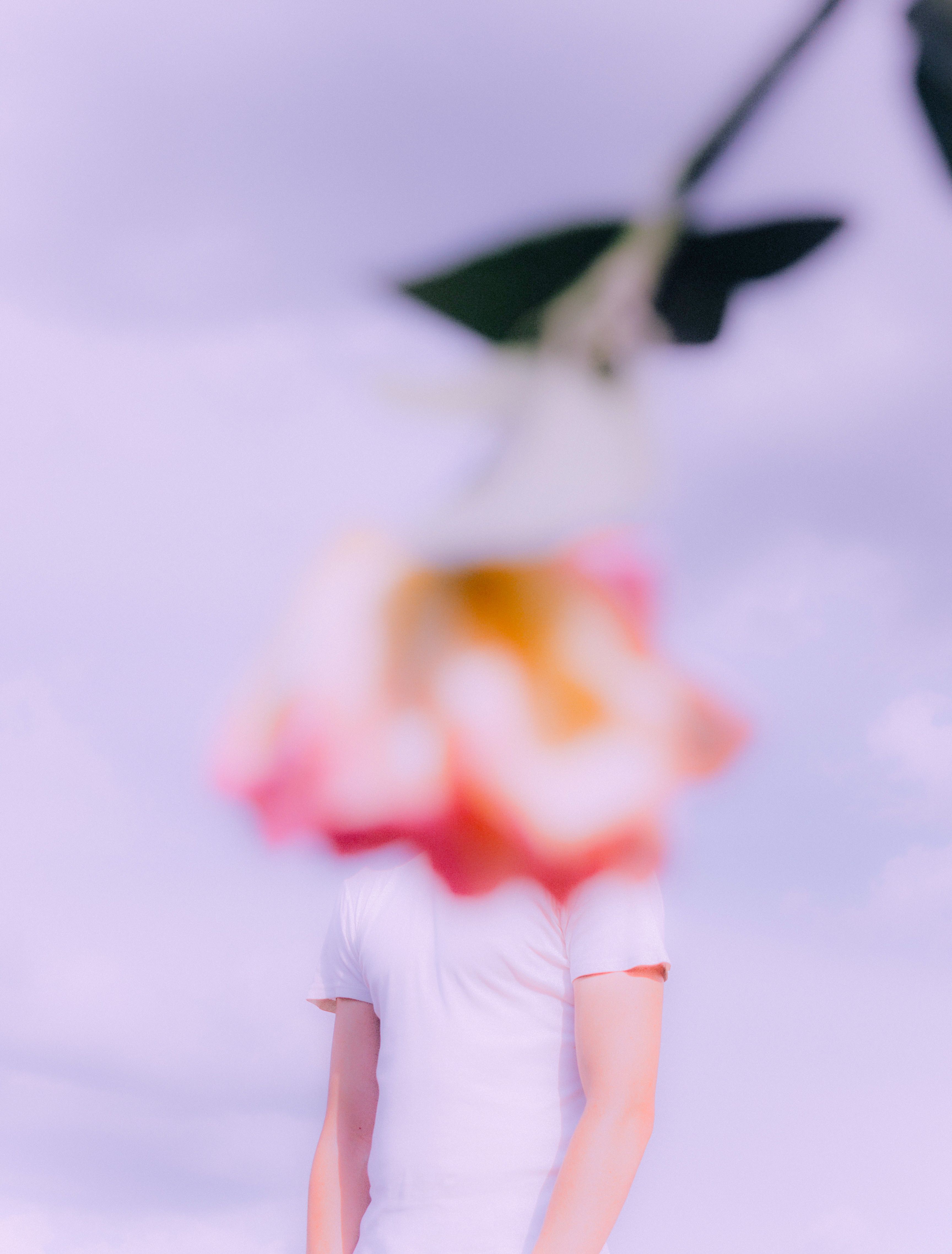 No Background Flower Photos, Download The BEST Free No Background ...