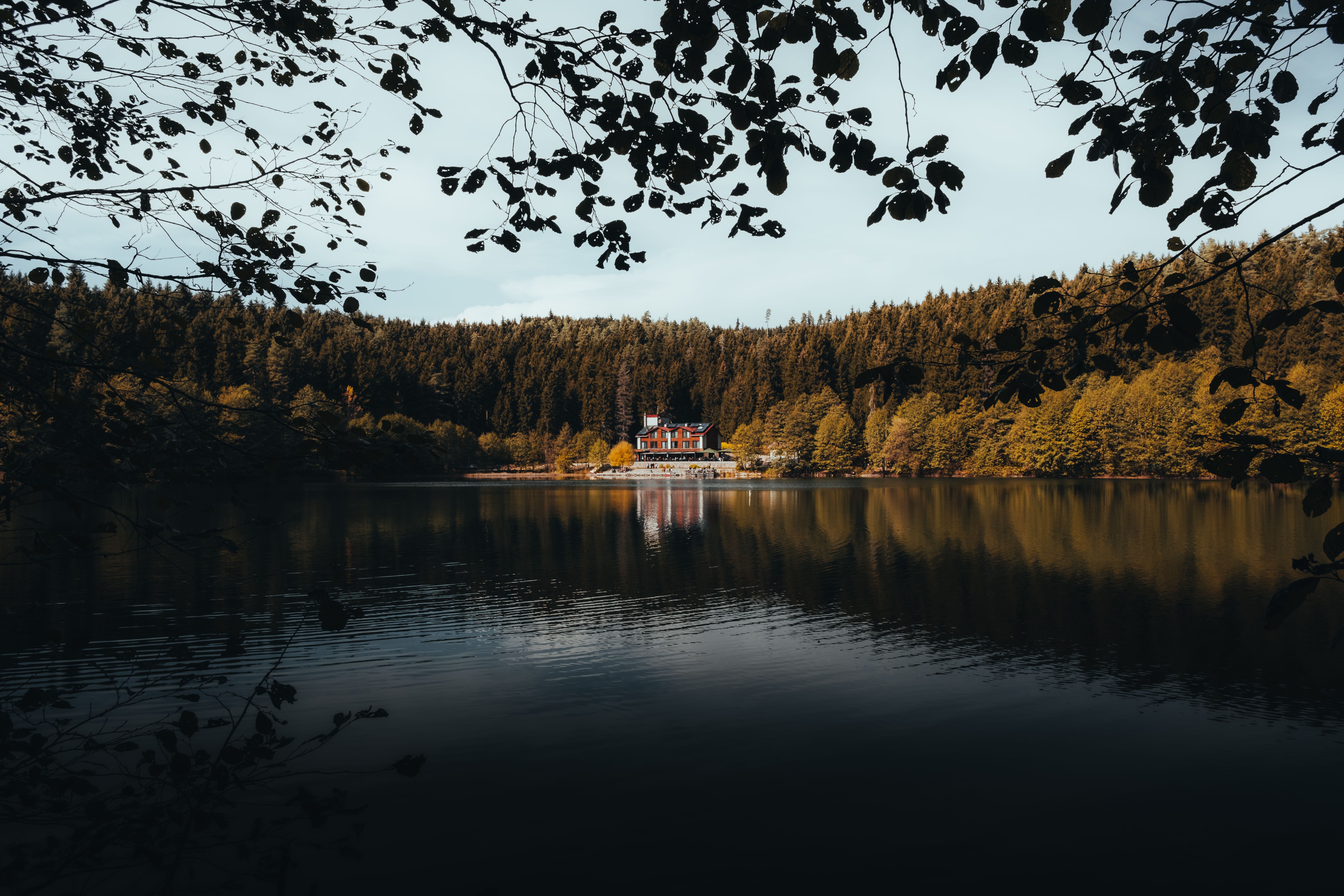 Beautiful Medow Photos, Download The BEST Free Beautiful Medow Stock ...