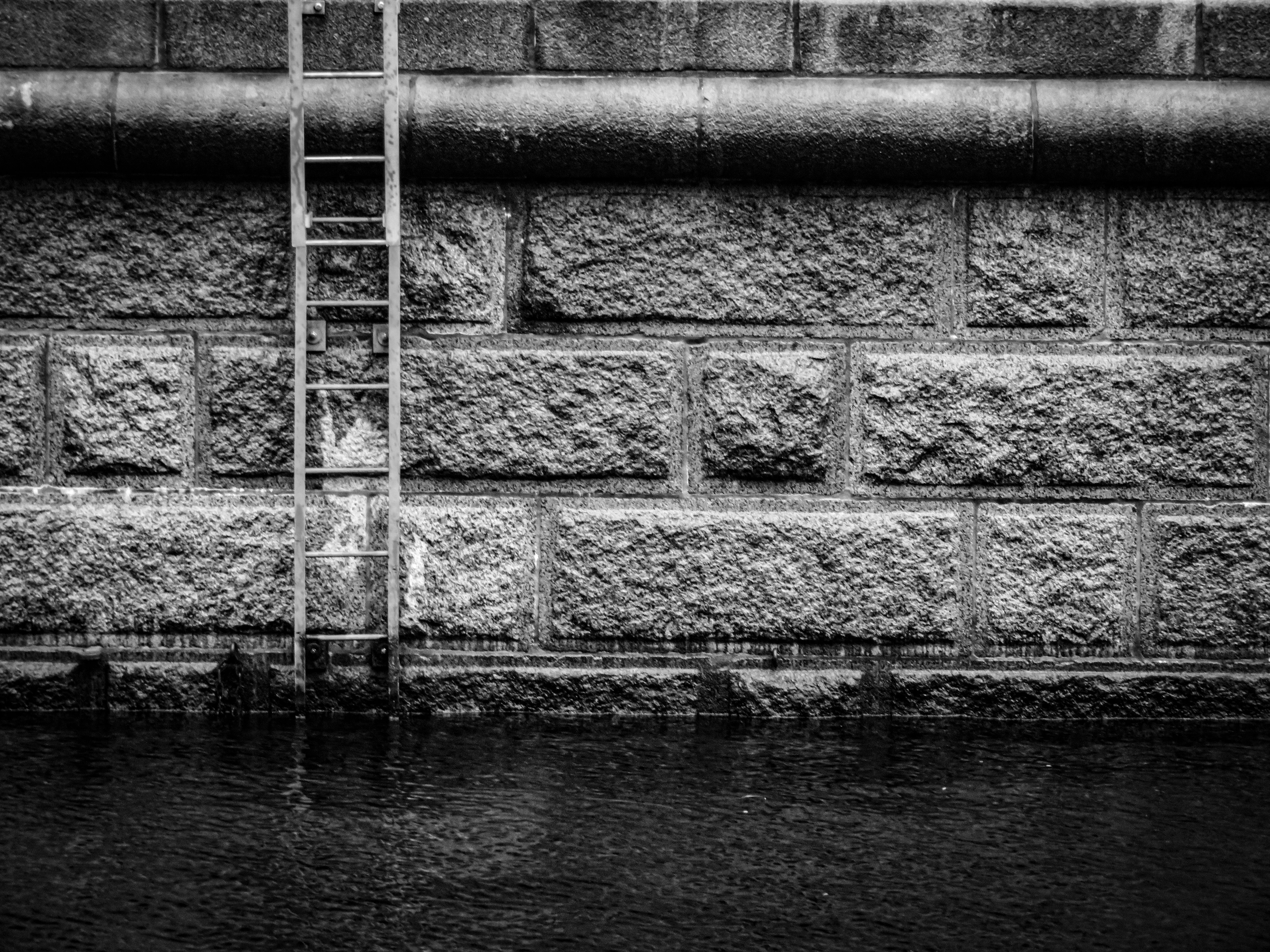 Fish Ladders Photos, Download The BEST Free Fish Ladders Stock Photos ...