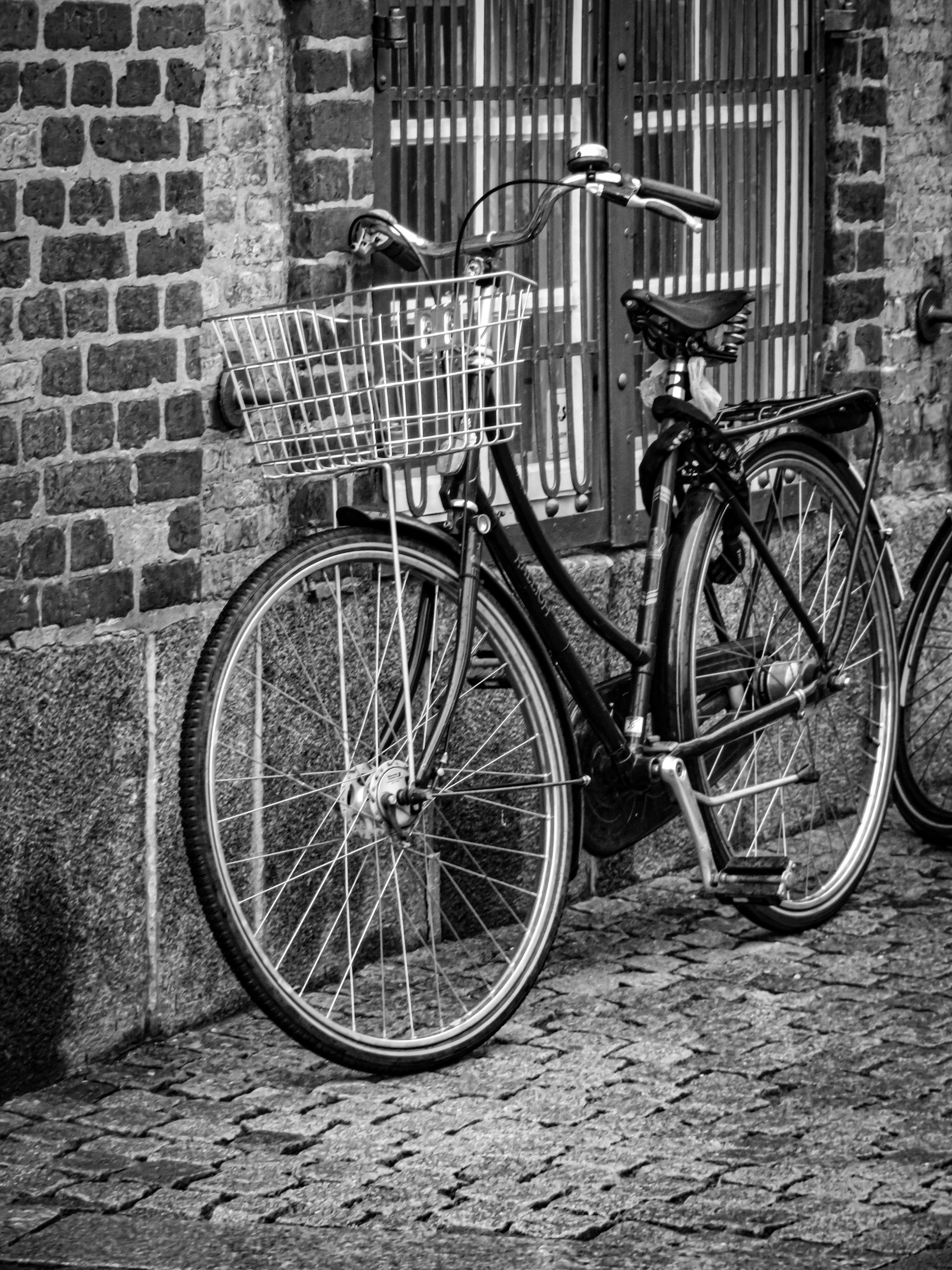 Vintage Bicycle Photos, Download The BEST Free Vintage Bicycle Stock ...