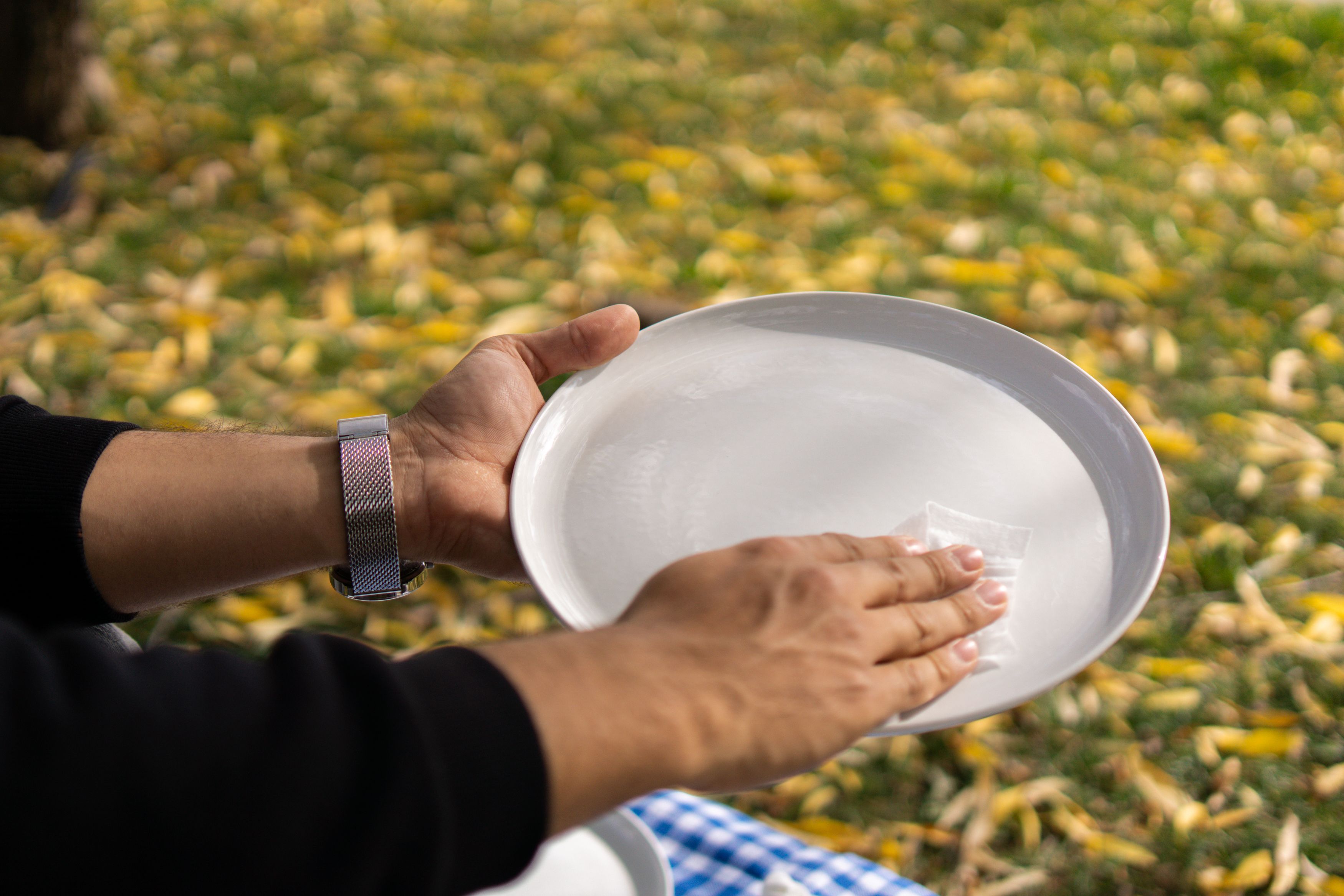 Man Cleaning Plate at Outdoor Picnic Setting · Free Stock Photo