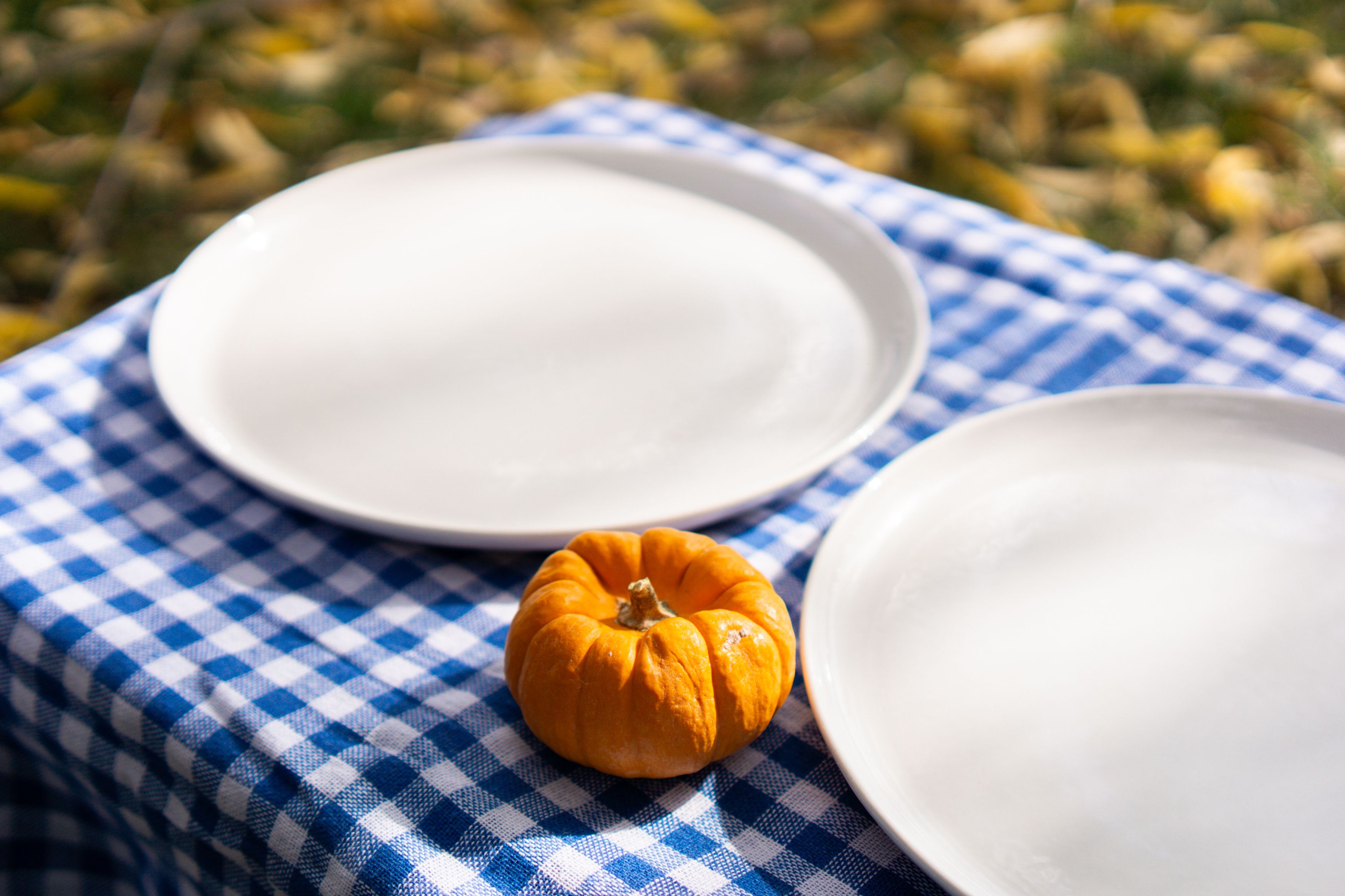Autumn Picnic Table with Pumpkins · Free Stock Photo