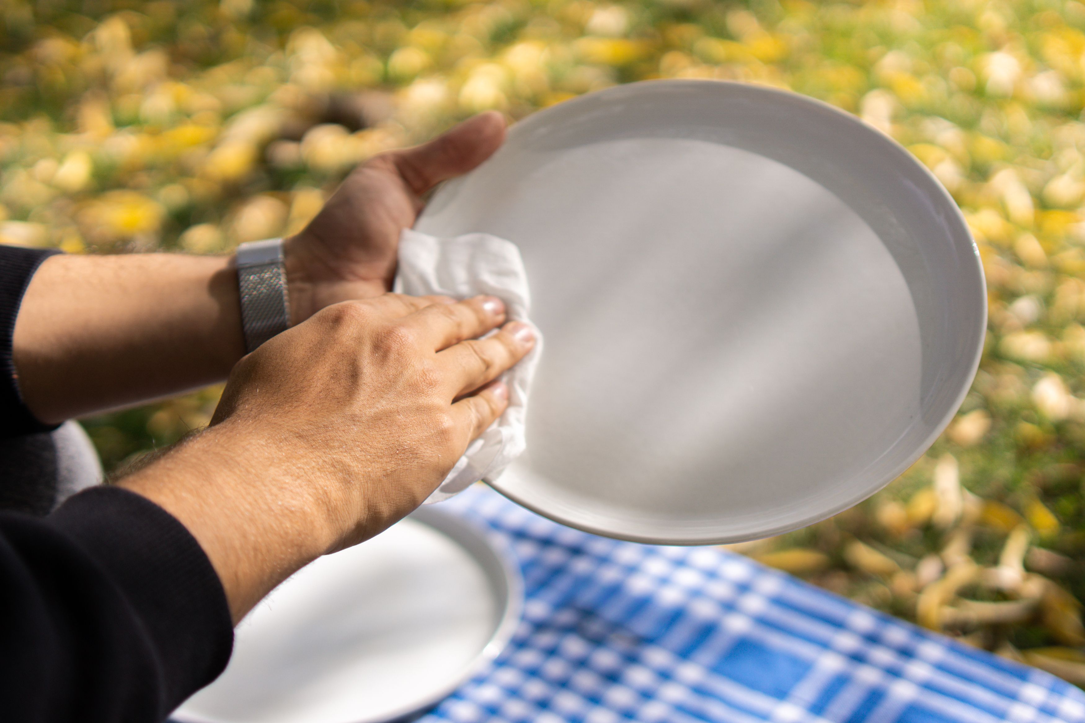 Hands Cleaning Plate Outdoors on Sunny Day · Free Stock Photo
