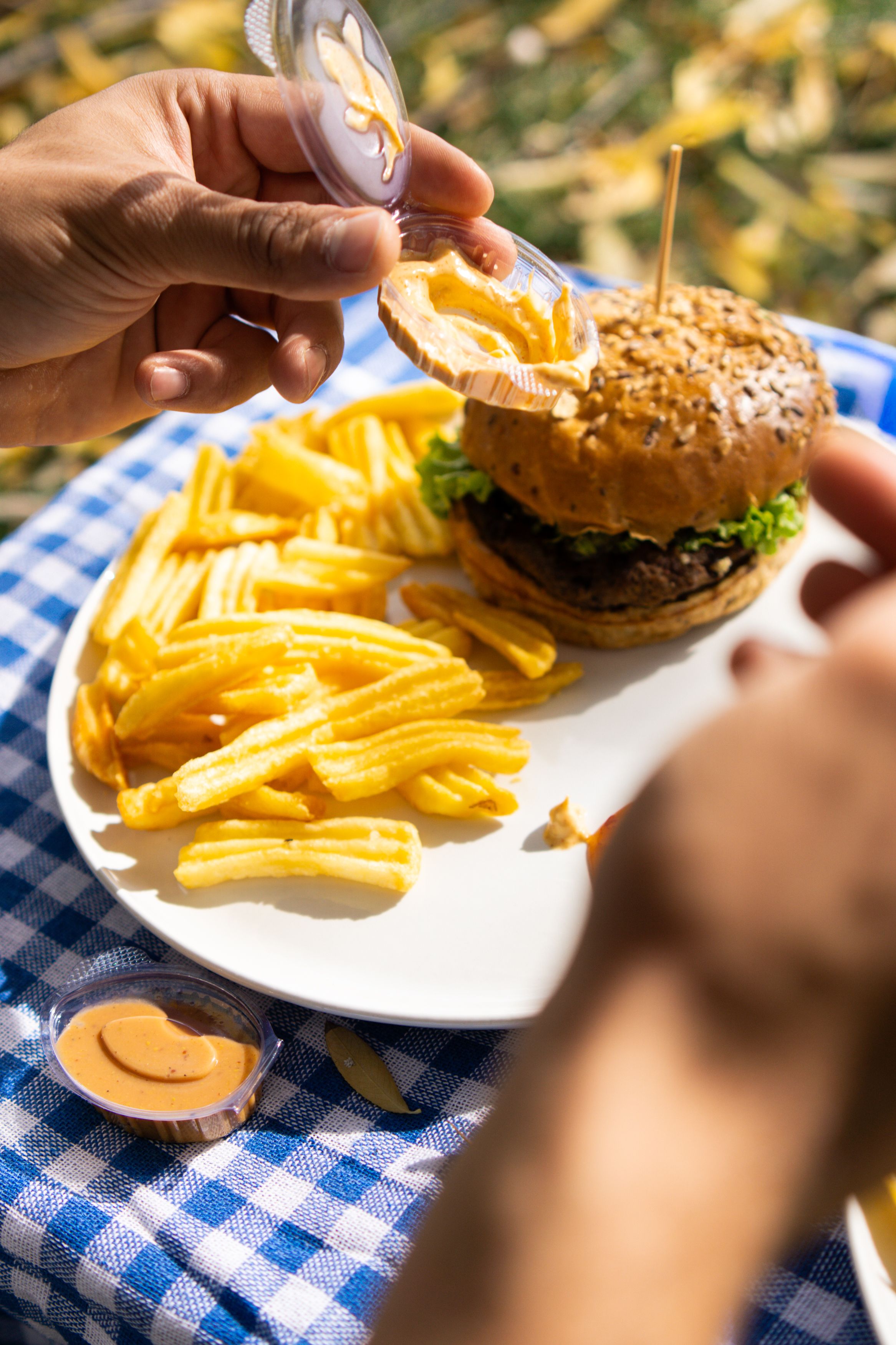 Picnic scene with burger and fries outdoors · Free Stock Photo