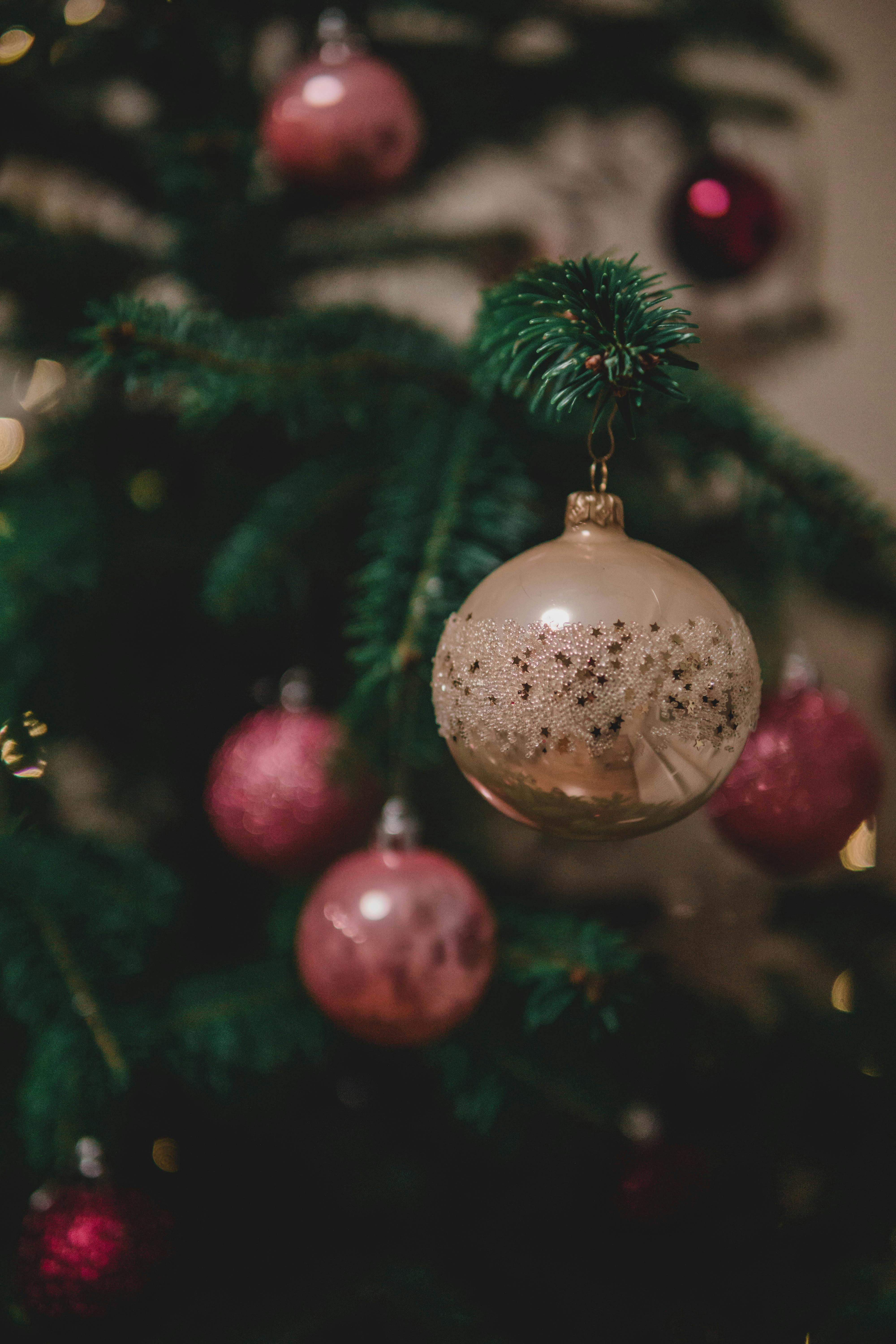 Christmas tree · Pexels